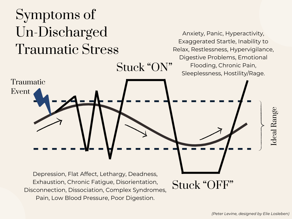 Healing the Symptoms of Anxiety, Panic Attacks, and Obsessive ...