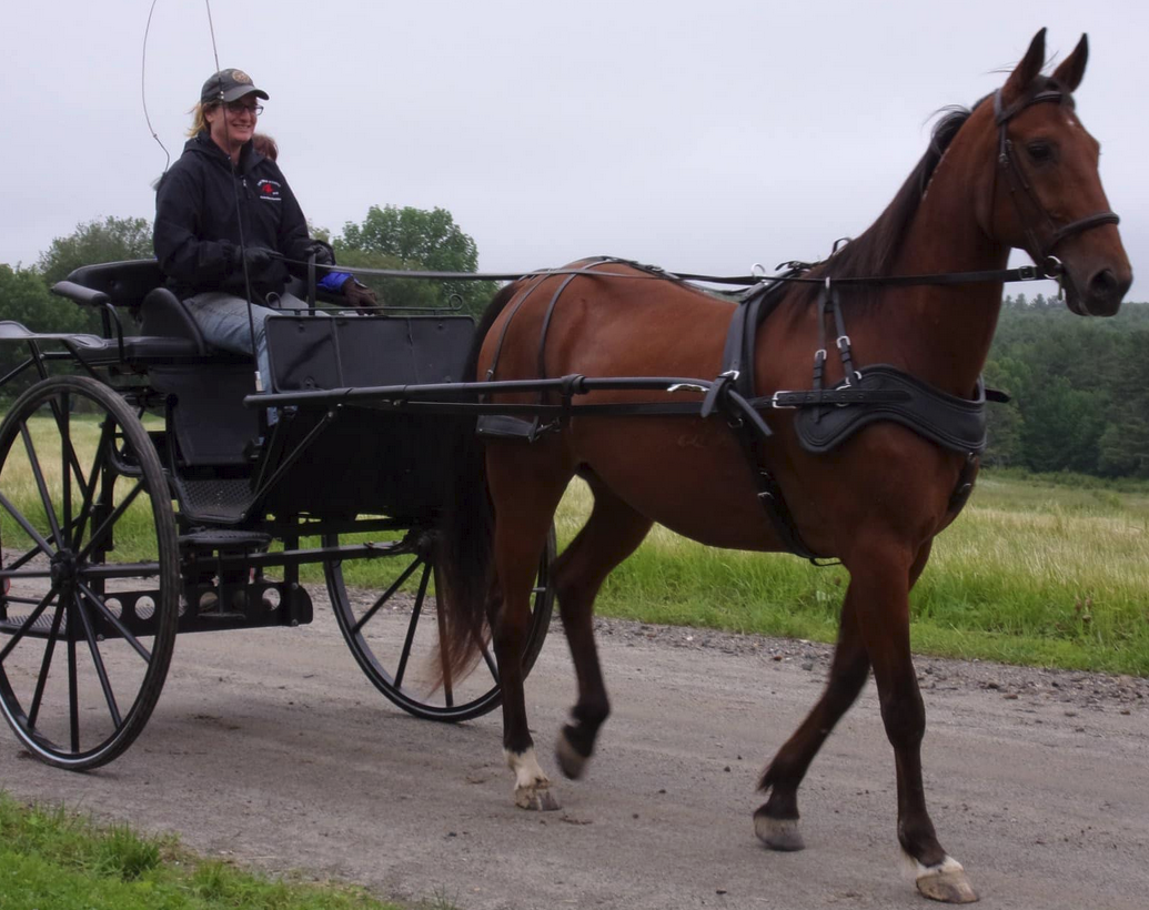 Moonlight Equestrian Center