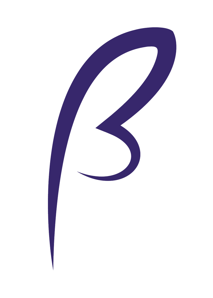 Beyond Boundaries Foundation