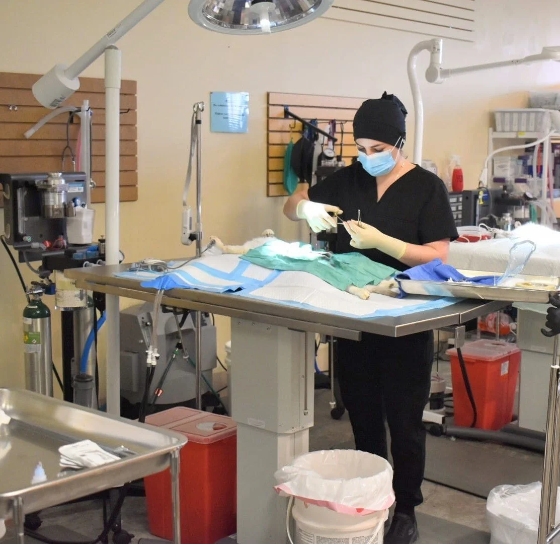 schedule now | Schedule Pet Care Today