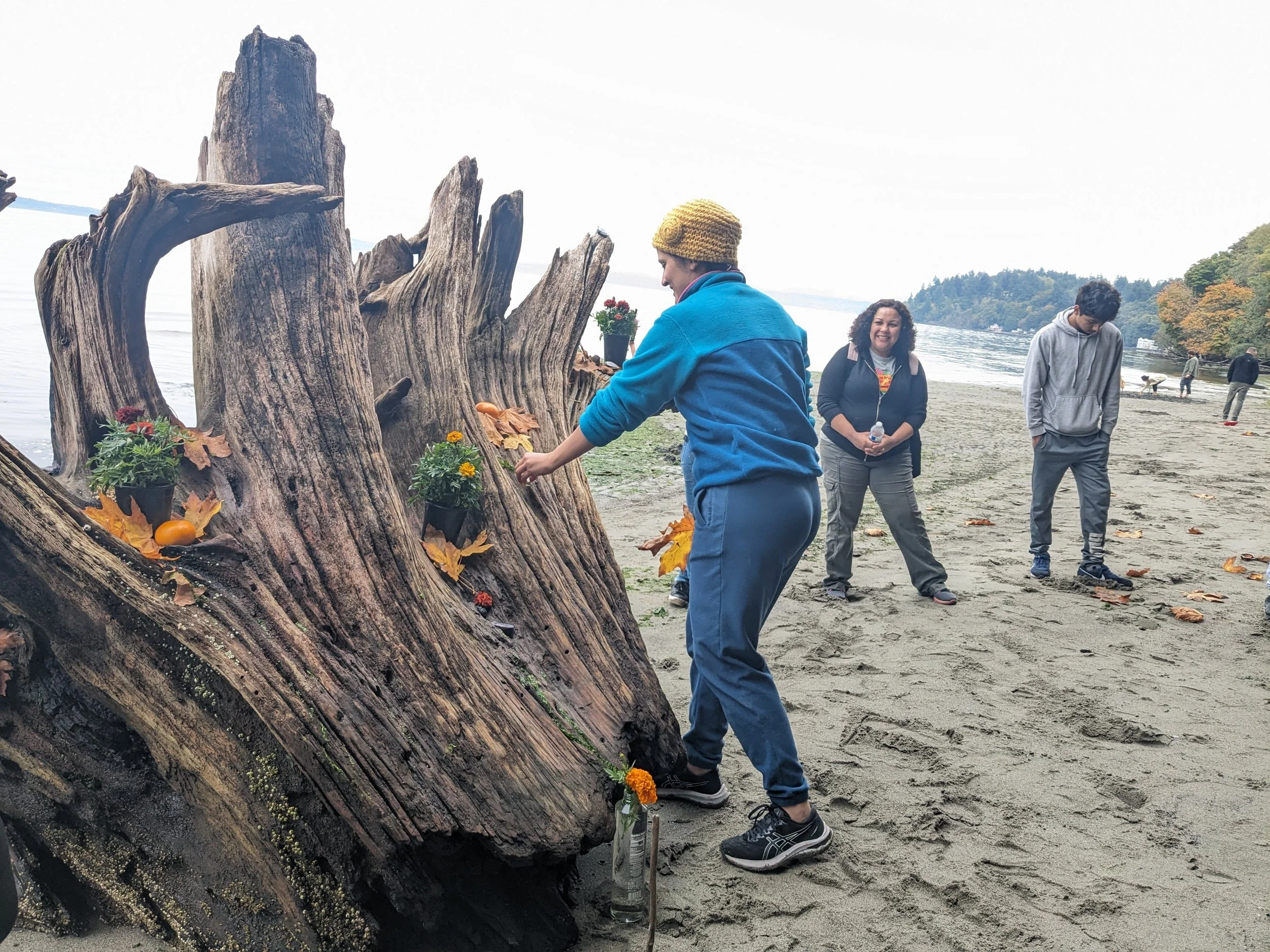 Overview of Programs — Wild Grief | Grieving Together in Nature