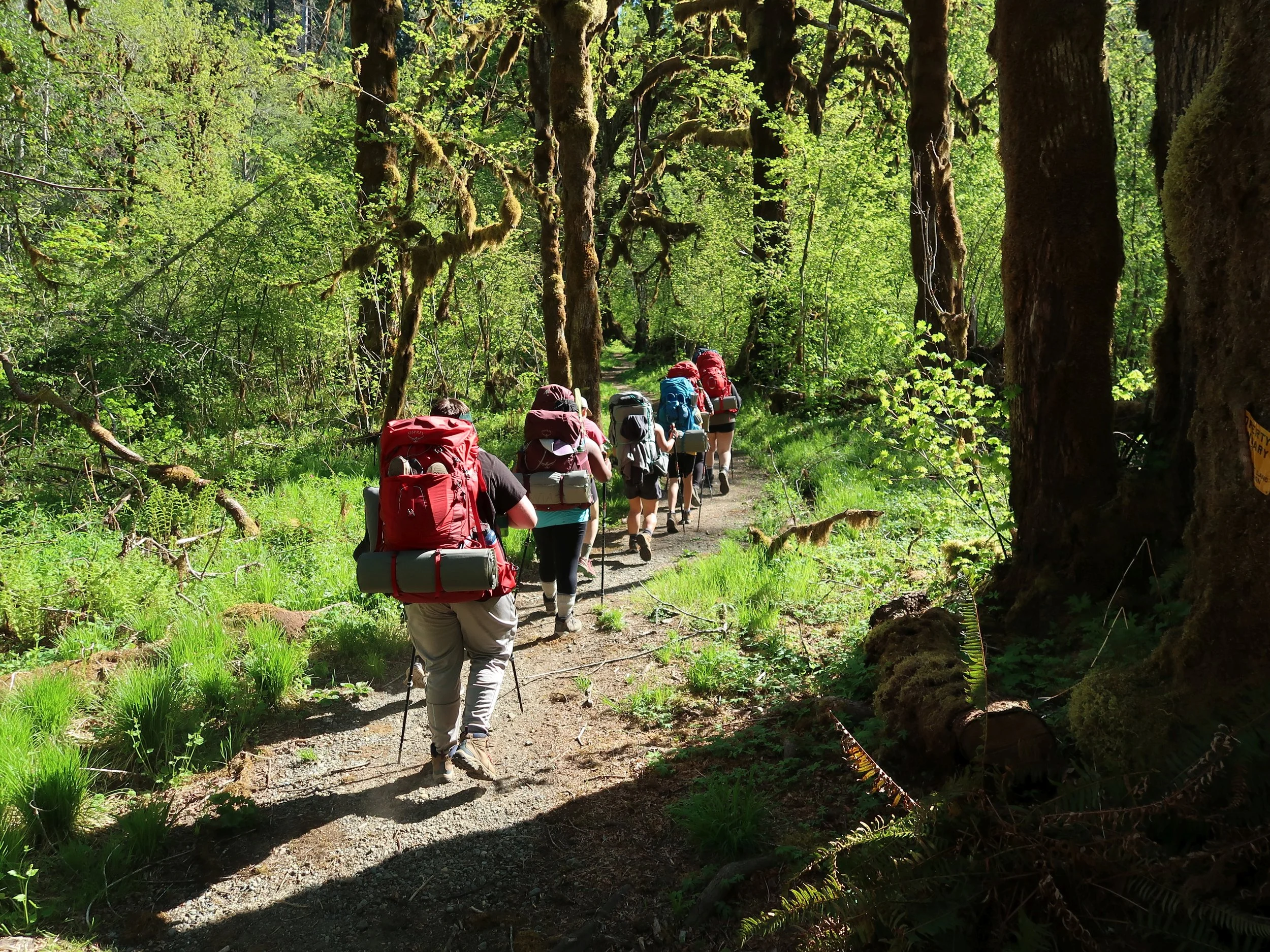 About us — Wild Grief | Grieving Together in Nature