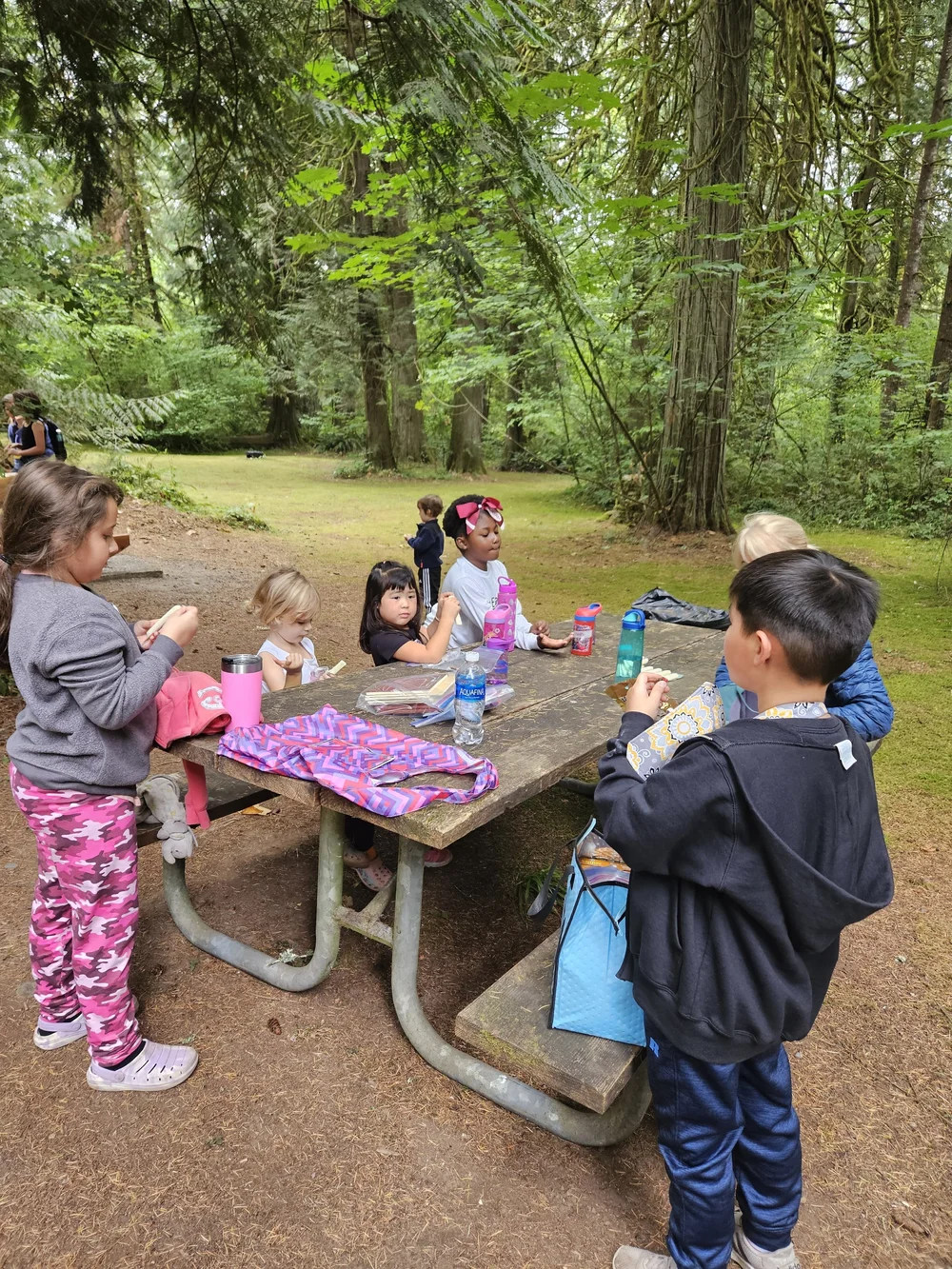 Wild Grief | Grieving Together in Nature