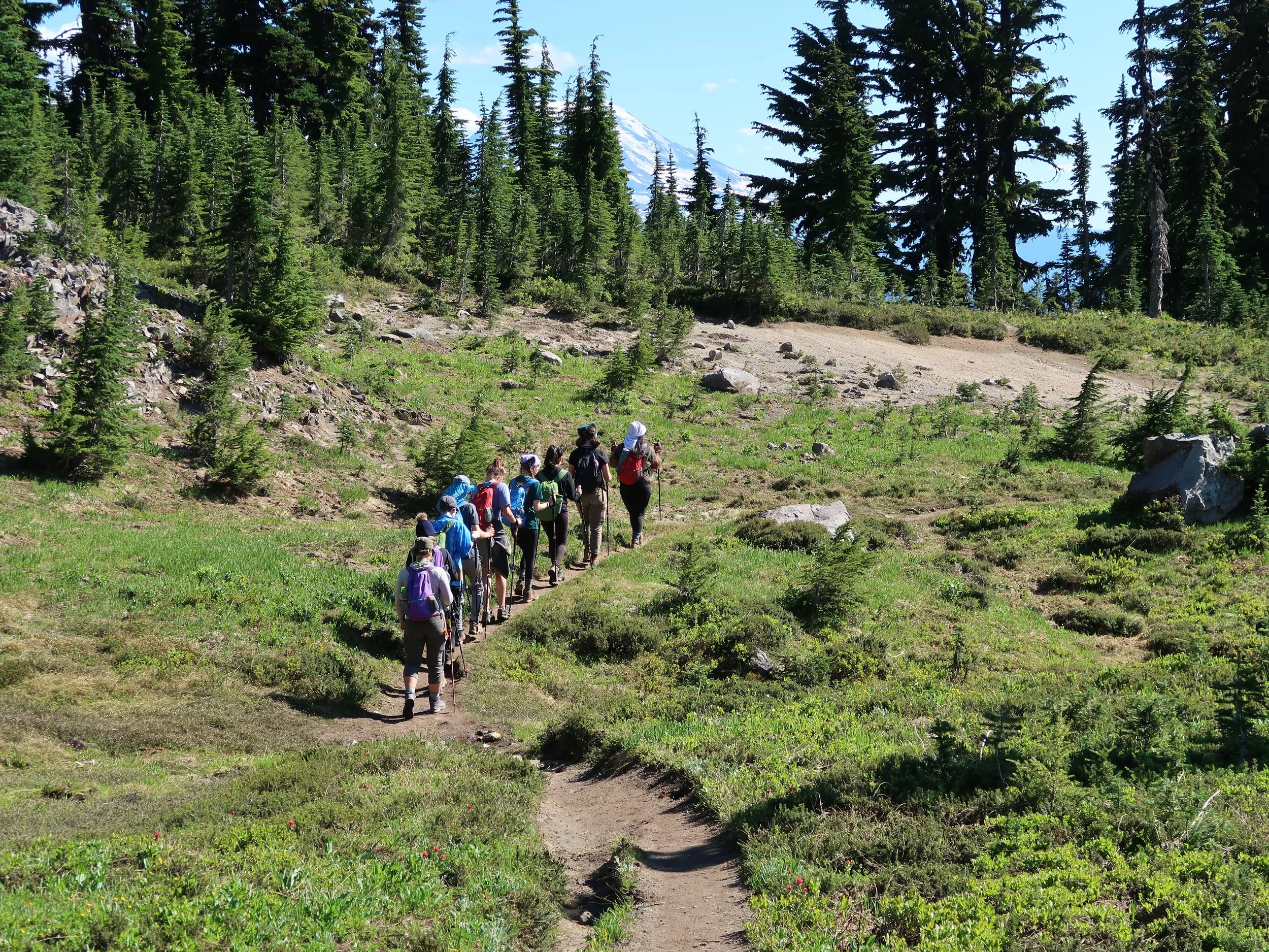 Wild Grief | Grieving Together in Nature