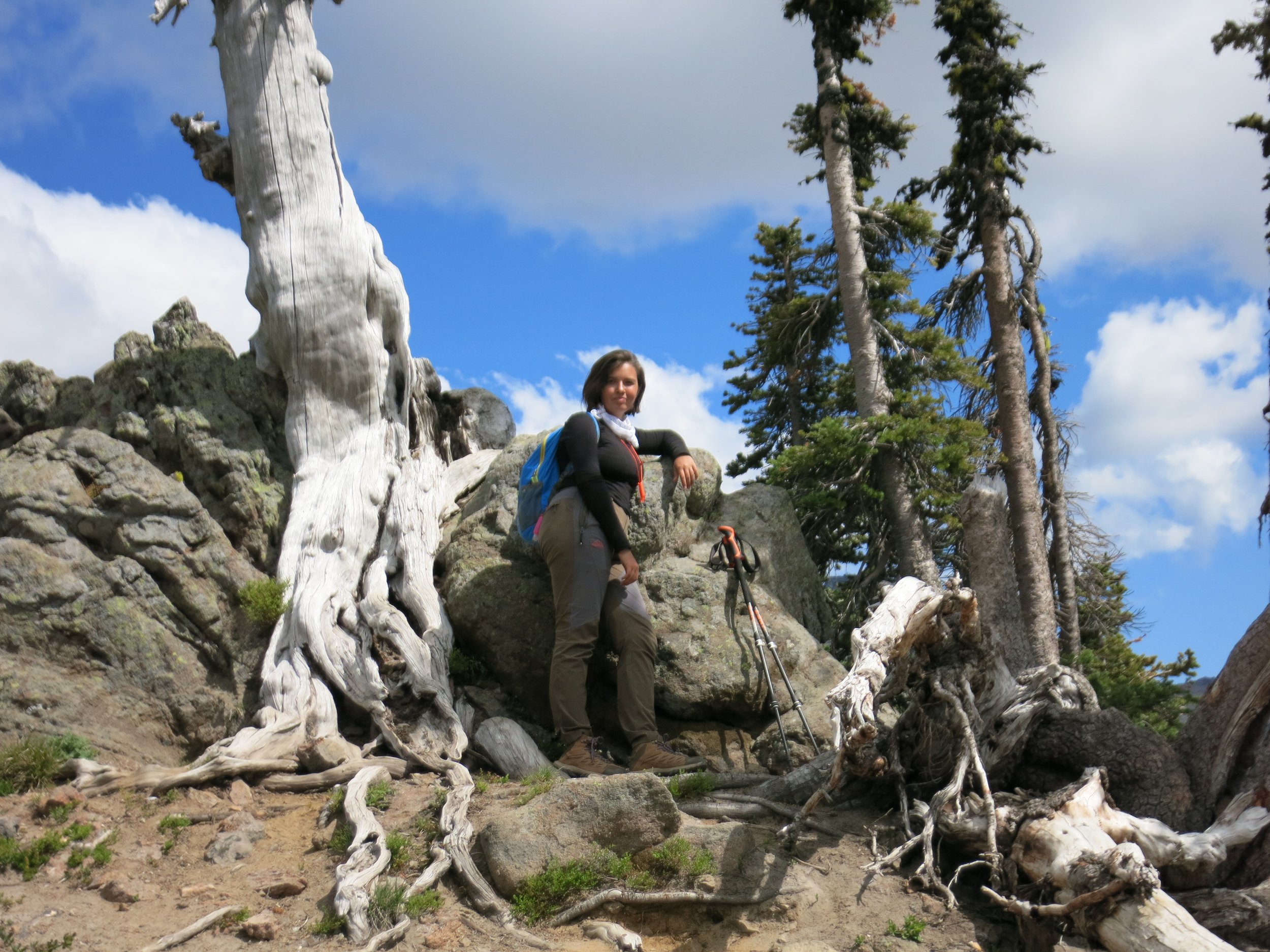 Wild Grief | Grieving Together in Nature