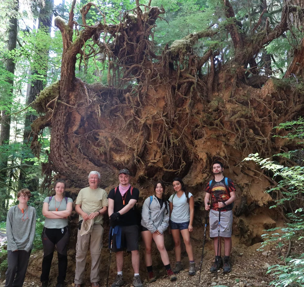 Wild Grief | Grieving Together in Nature