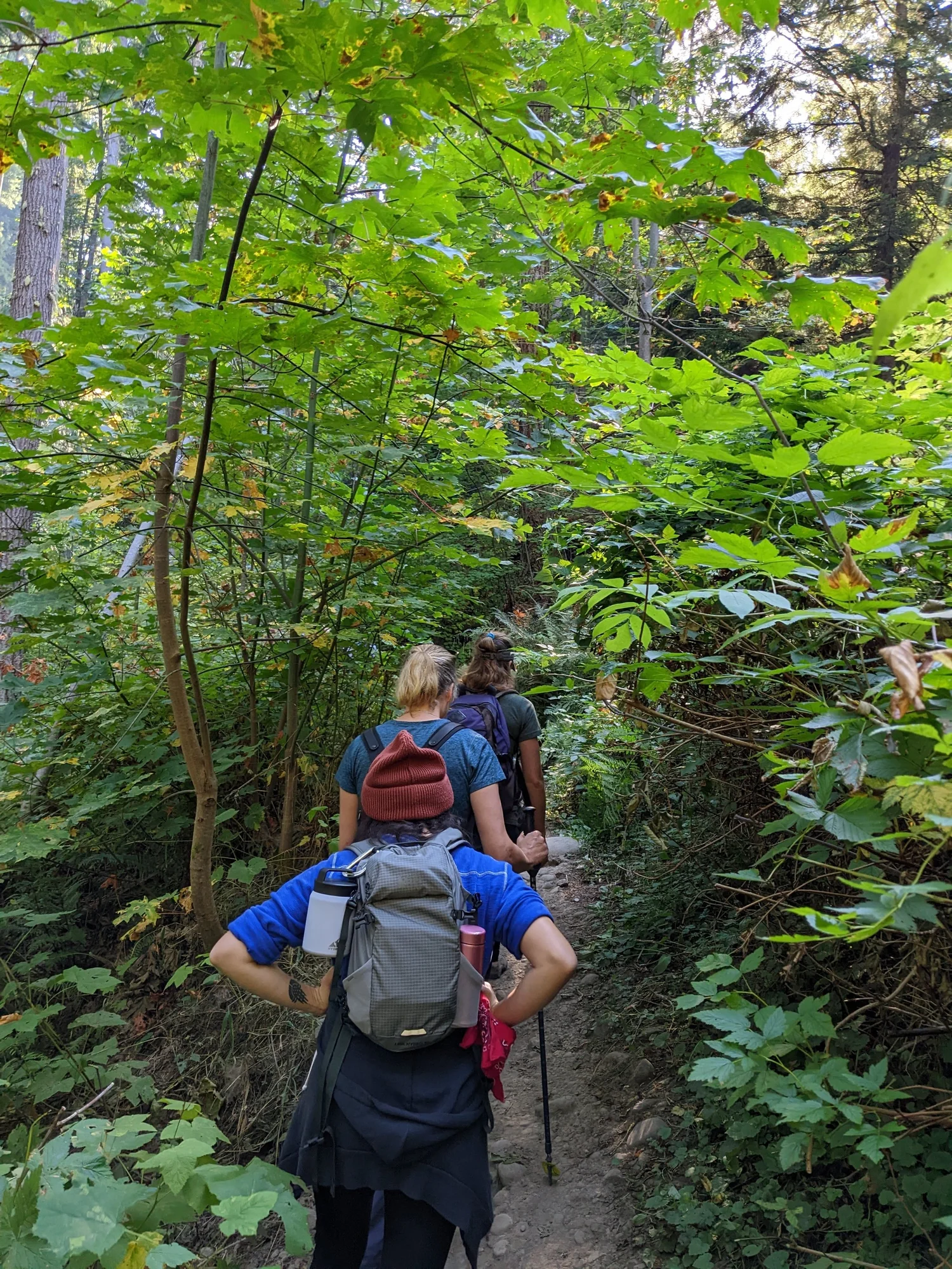 All Ages Programs — Wild Grief | Grieving Together in Nature