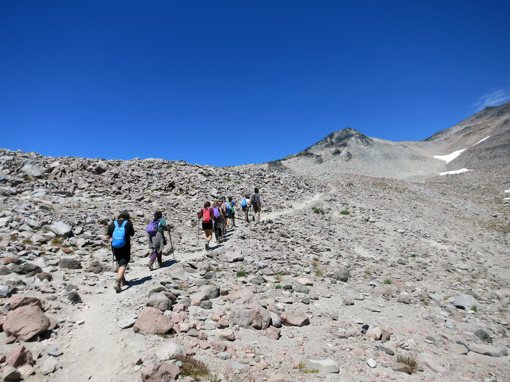 Wild Grief | Grieving Together in Nature