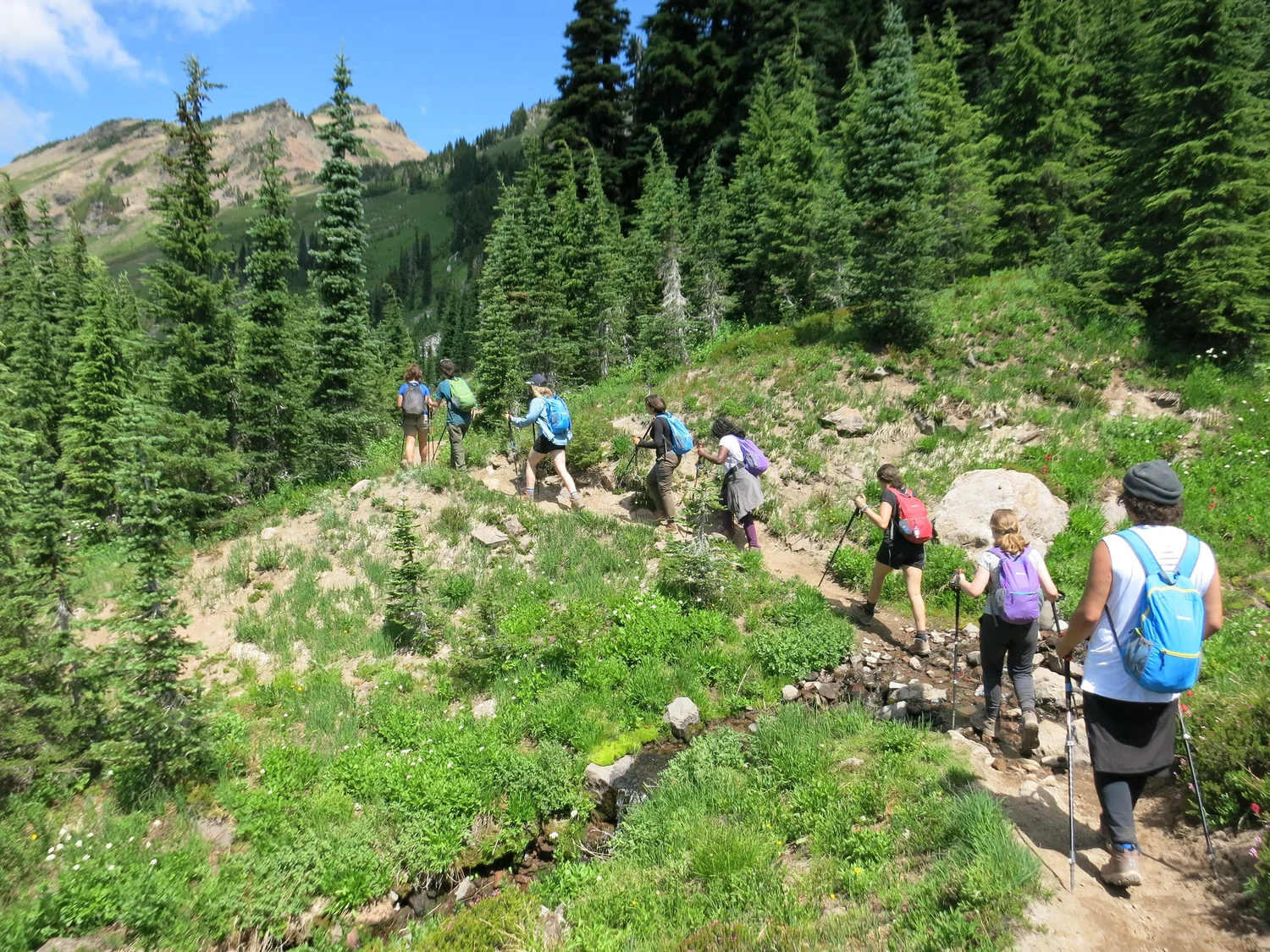 Overview of Programs — Wild Grief | Grieving Together in Nature