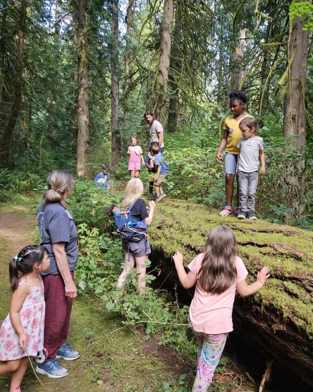 Wild Grief | Grieving Together in Nature