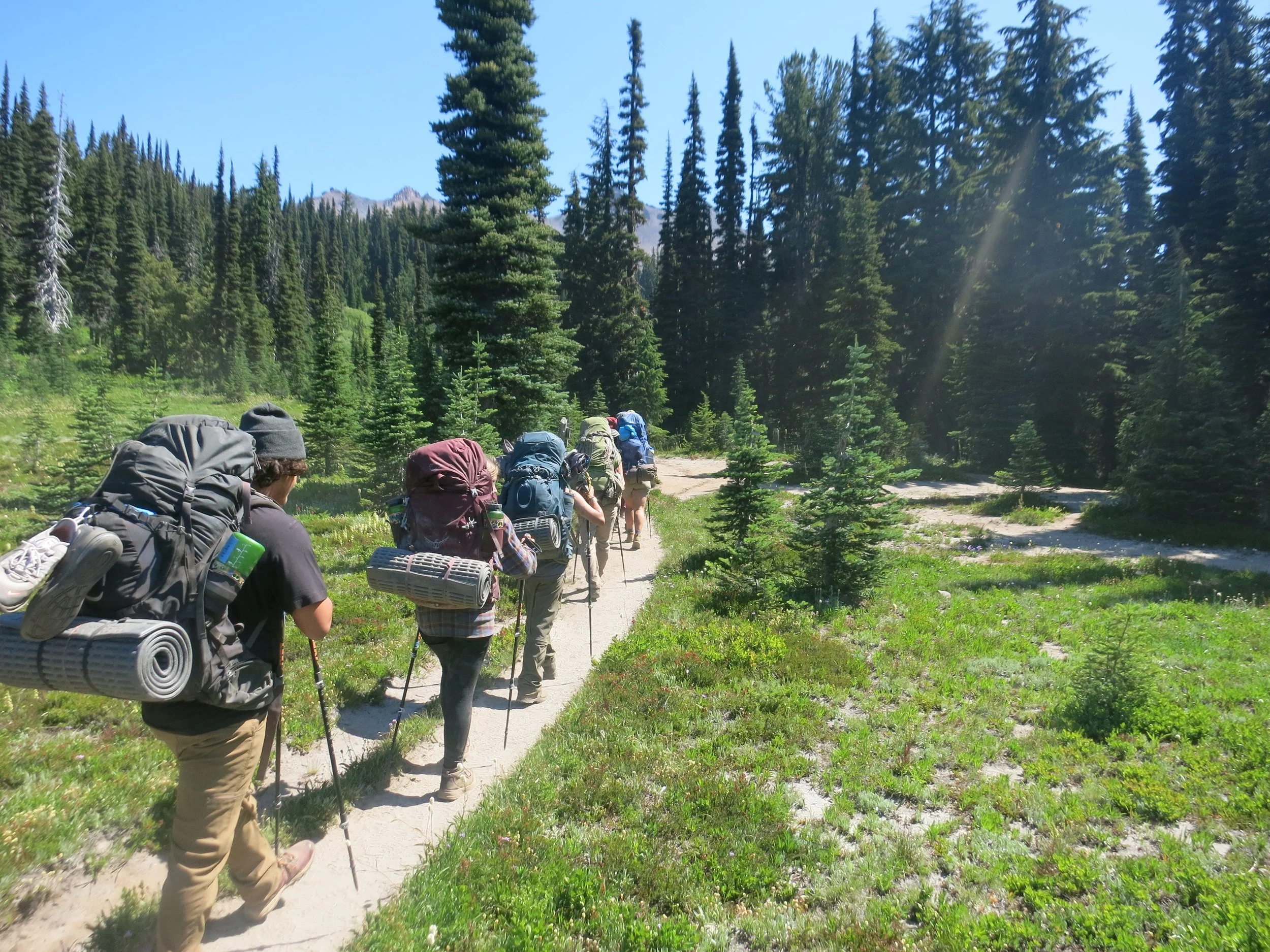 Wild Grief | Grieving Together in Nature