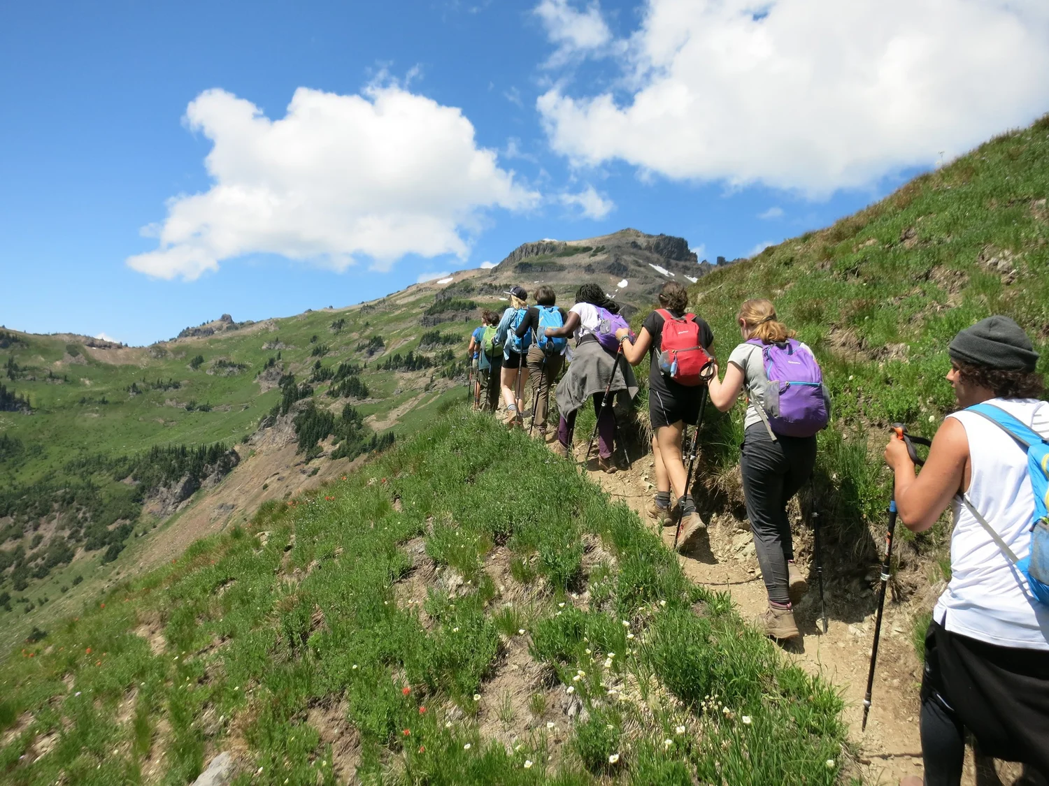 Wild Grief | Grieving Together in Nature