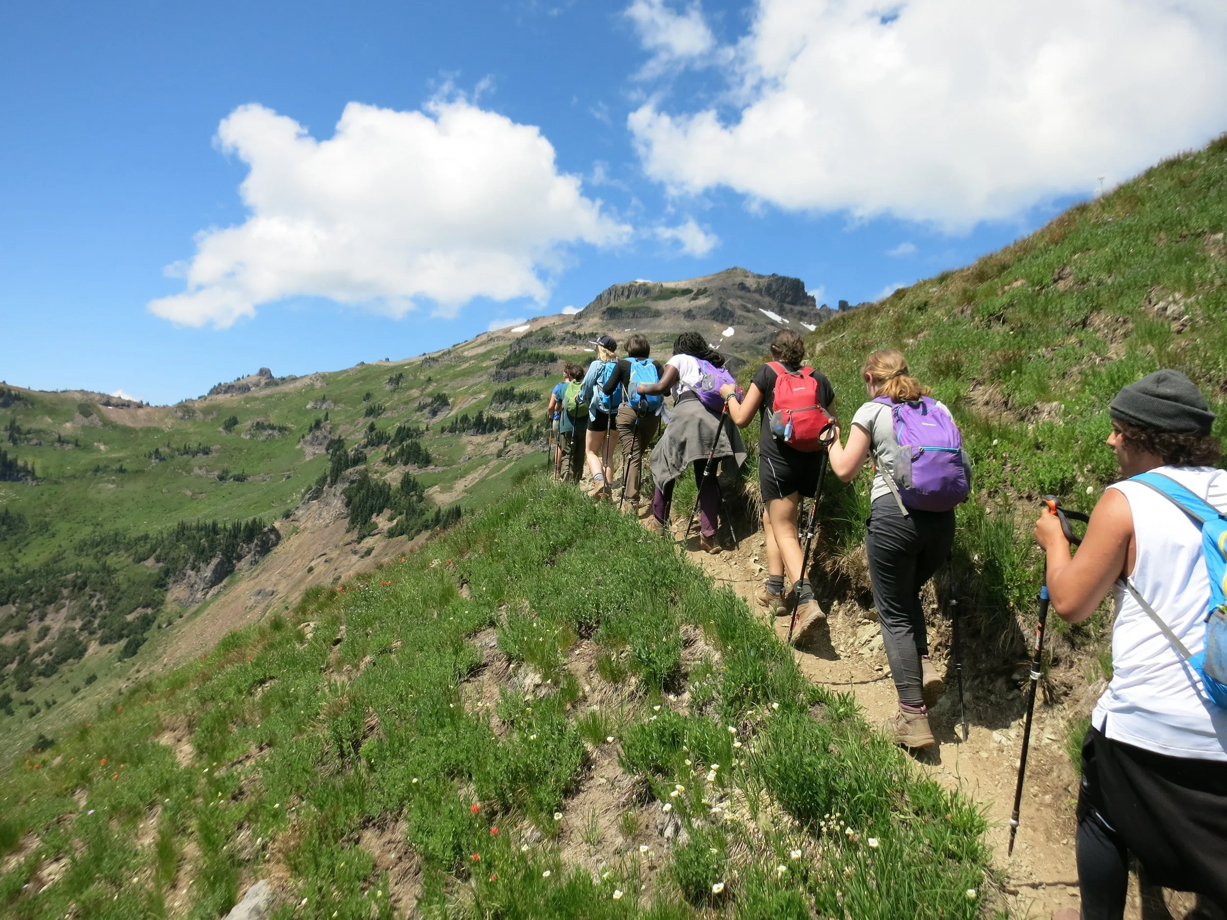Wild Grief | Grieving Together in Nature