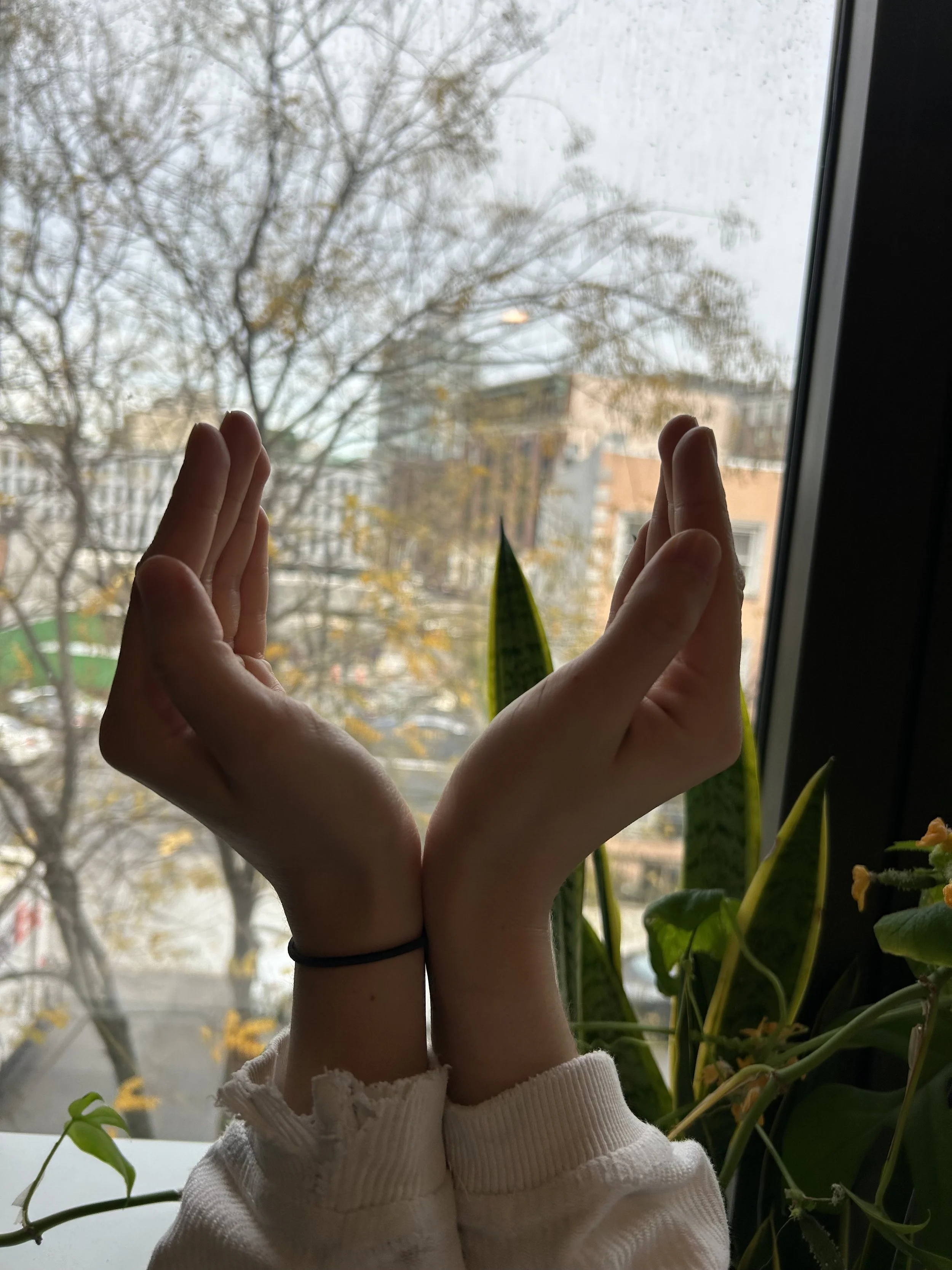 BACC - Mental Health Counseling in Boston & Brooklyn