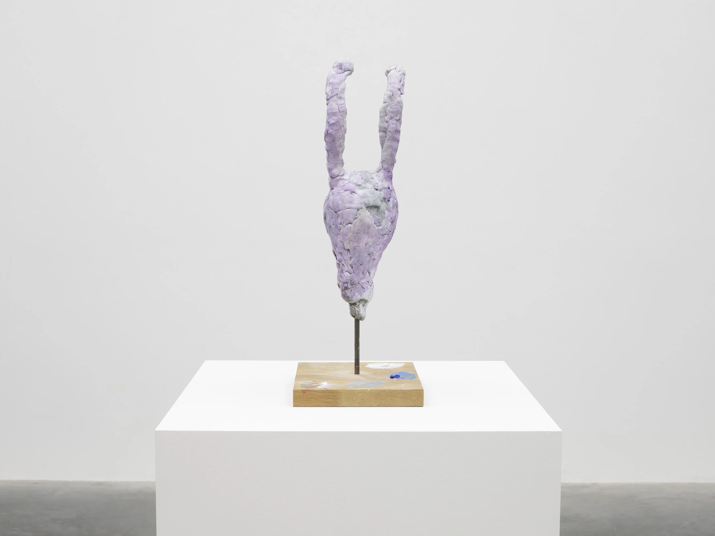 Rabbit Head, 2022 — David Altmejd