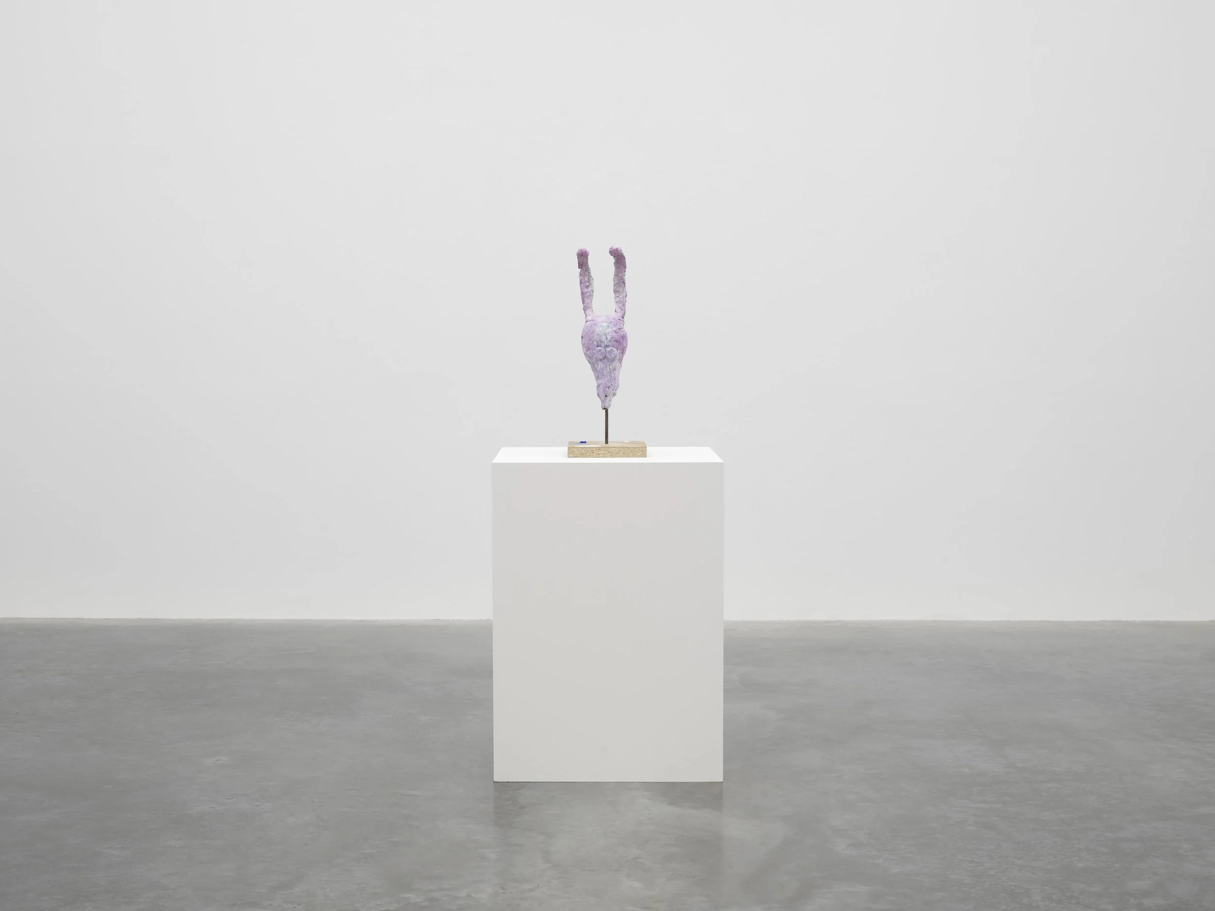 Rabbit Head, 2022 — David Altmejd