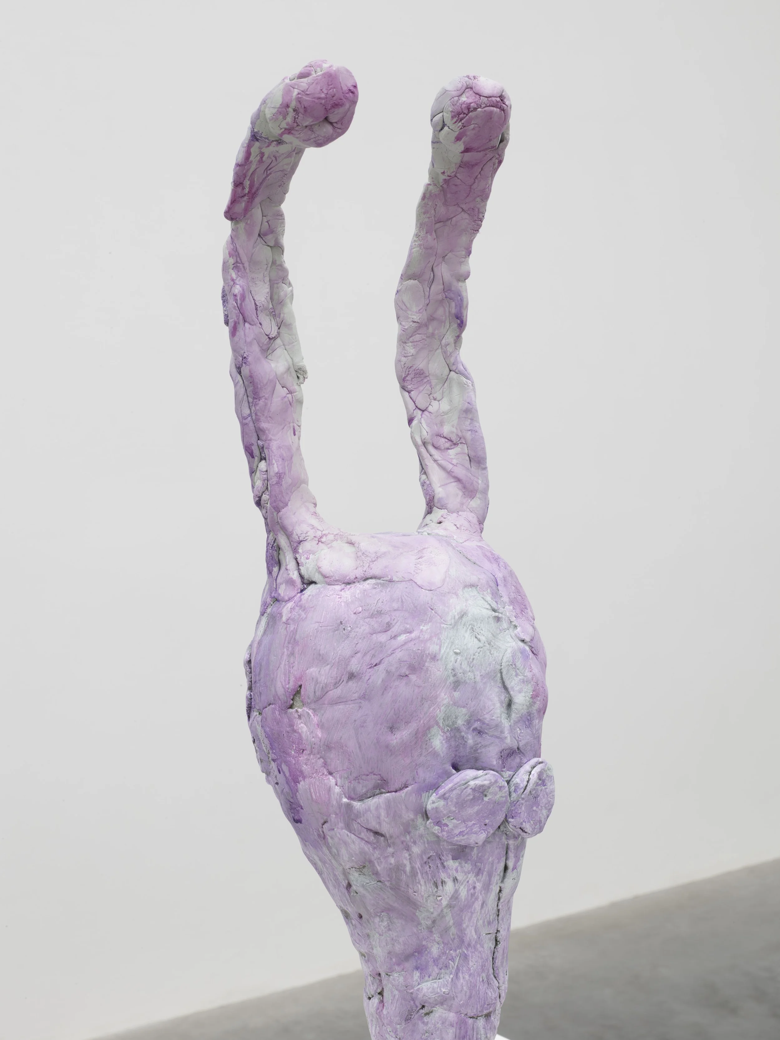 Rabbit Head, 2022 — David Altmejd