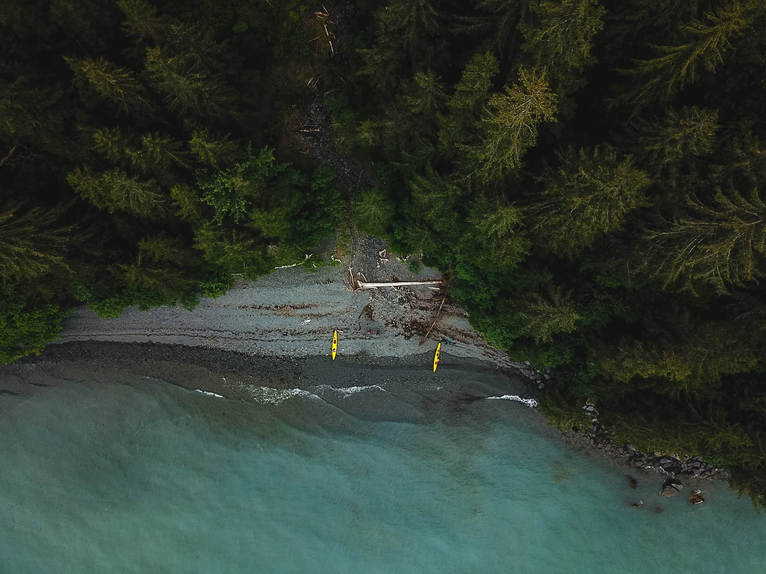 Alaska's Most Popular Kayaking, Hiking, Wildlife Cruise & Glacier ...