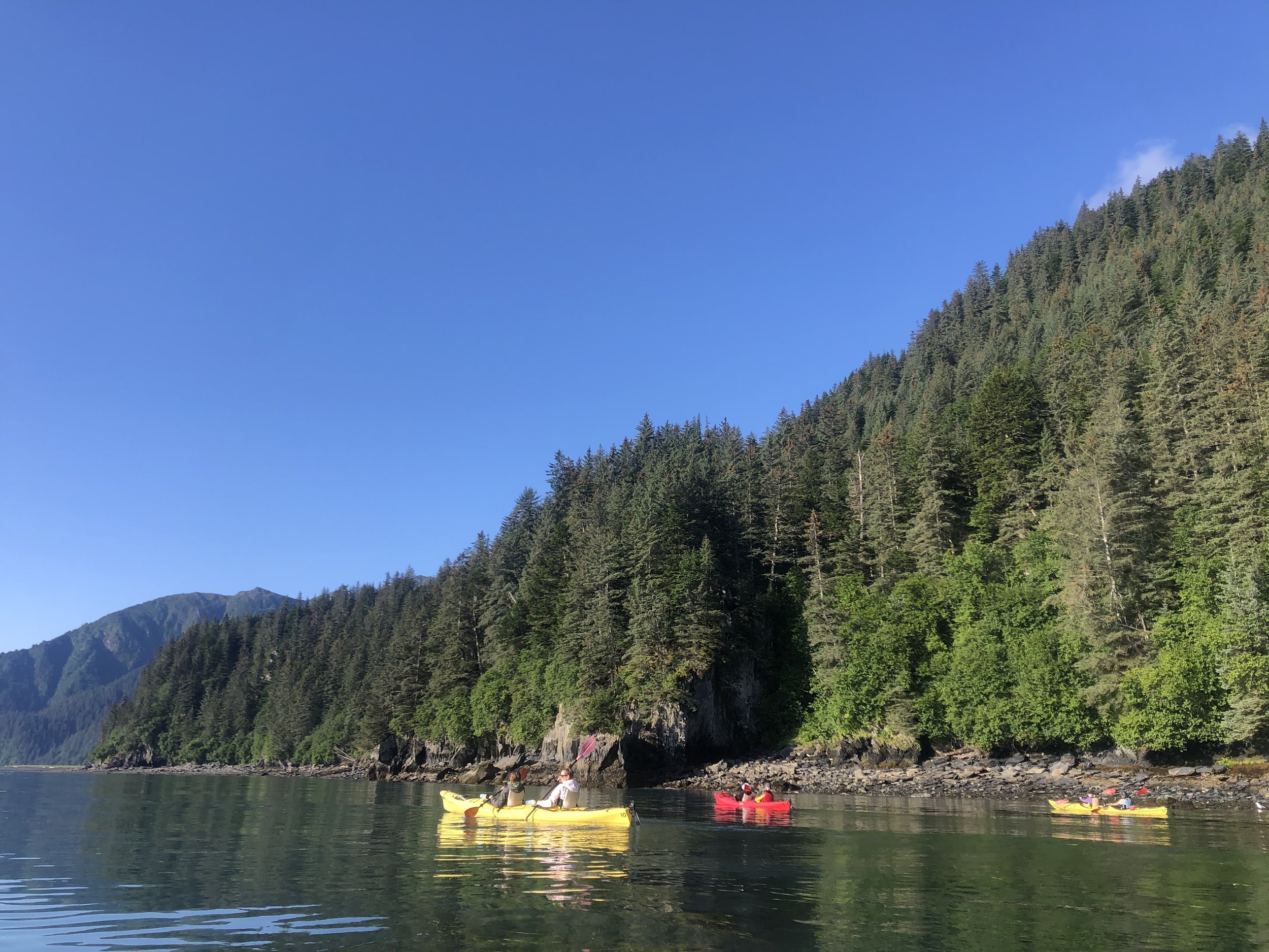 Resurrection Bay Tours - Sunny Cove - Kayaking, Hiking, Wildlife ...
