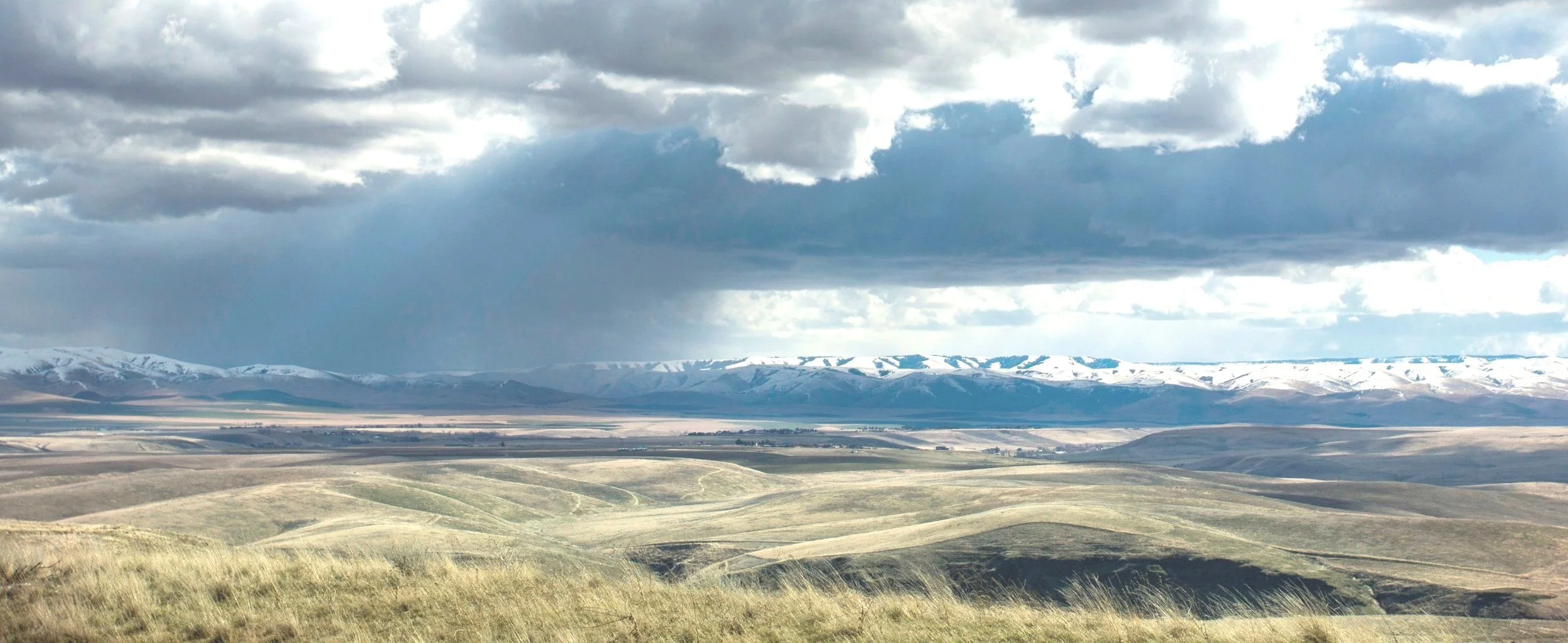 Walla Walla Water 2050 Plan