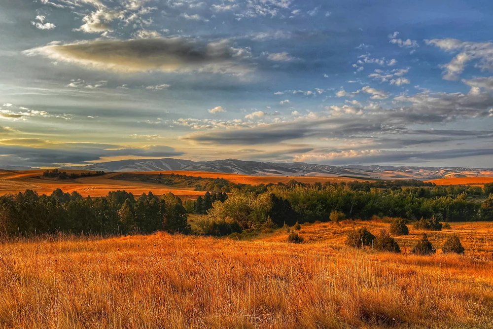 Walla Walla Water 2050 Plan