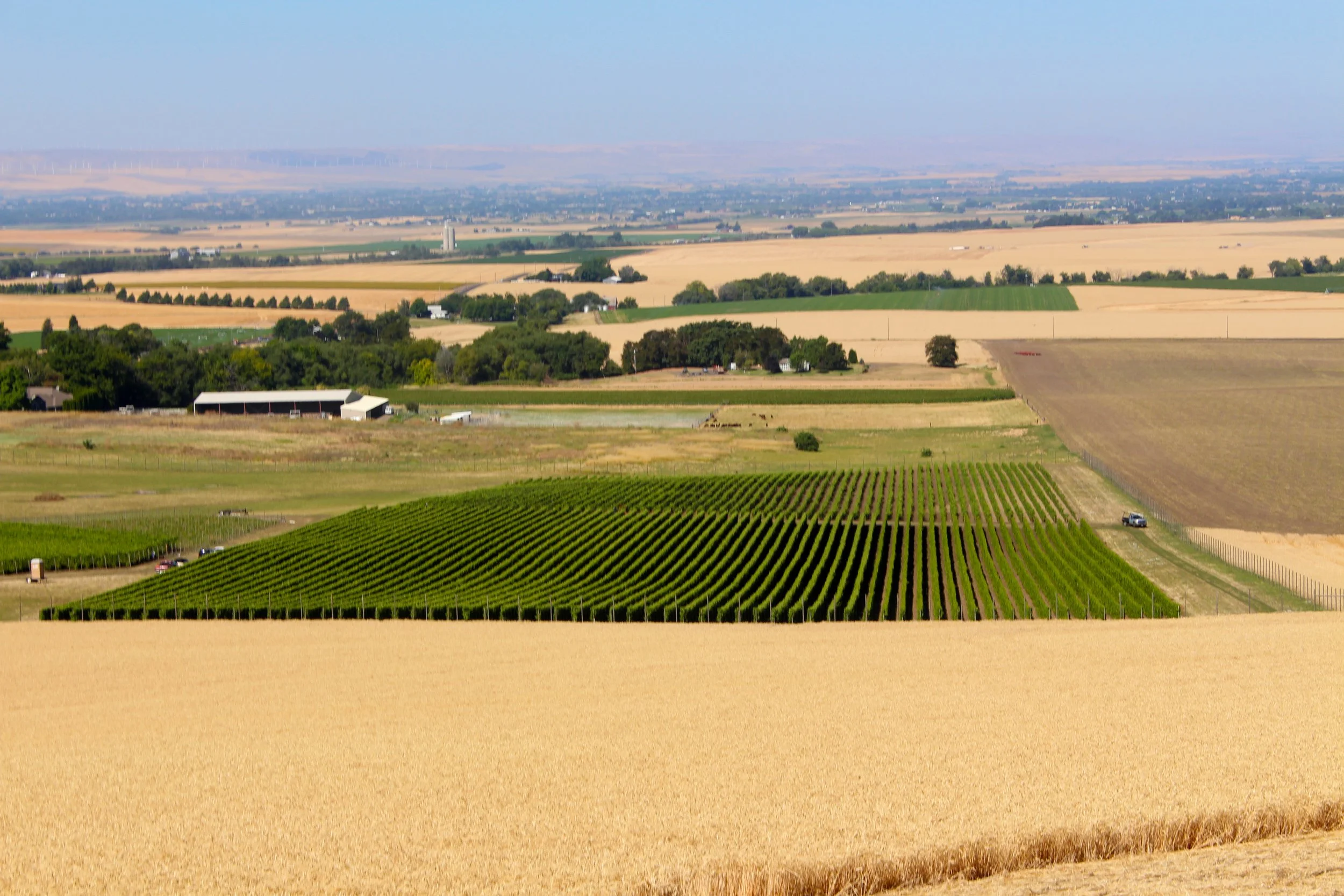 Walla Walla Water 2050 Plan