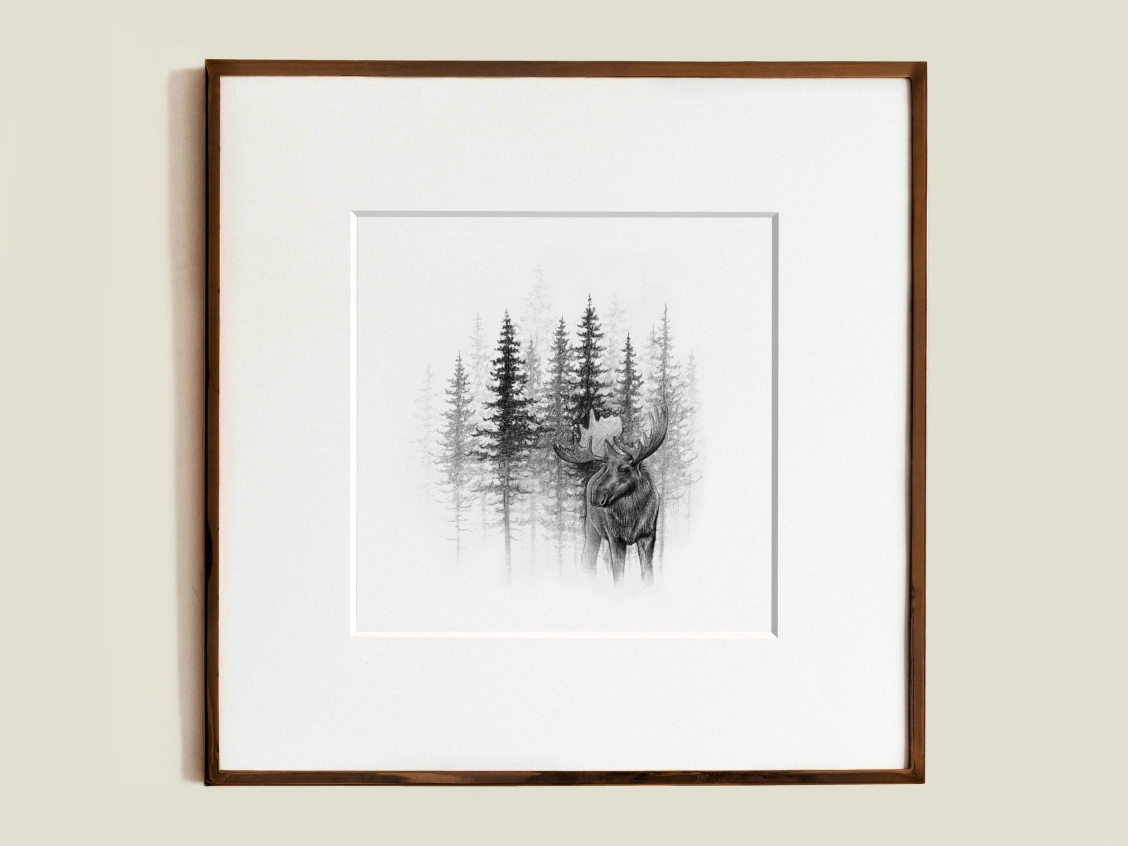 Elizabeth Ann Francis