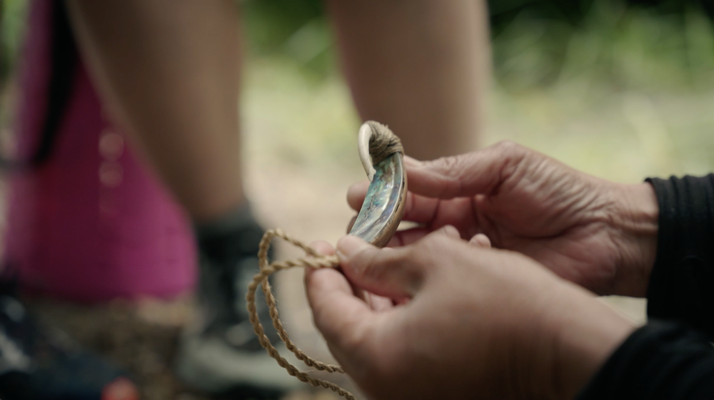 Mohaka Māori Cultural Tour | Cultural Day Tour — Aroha Helicopters