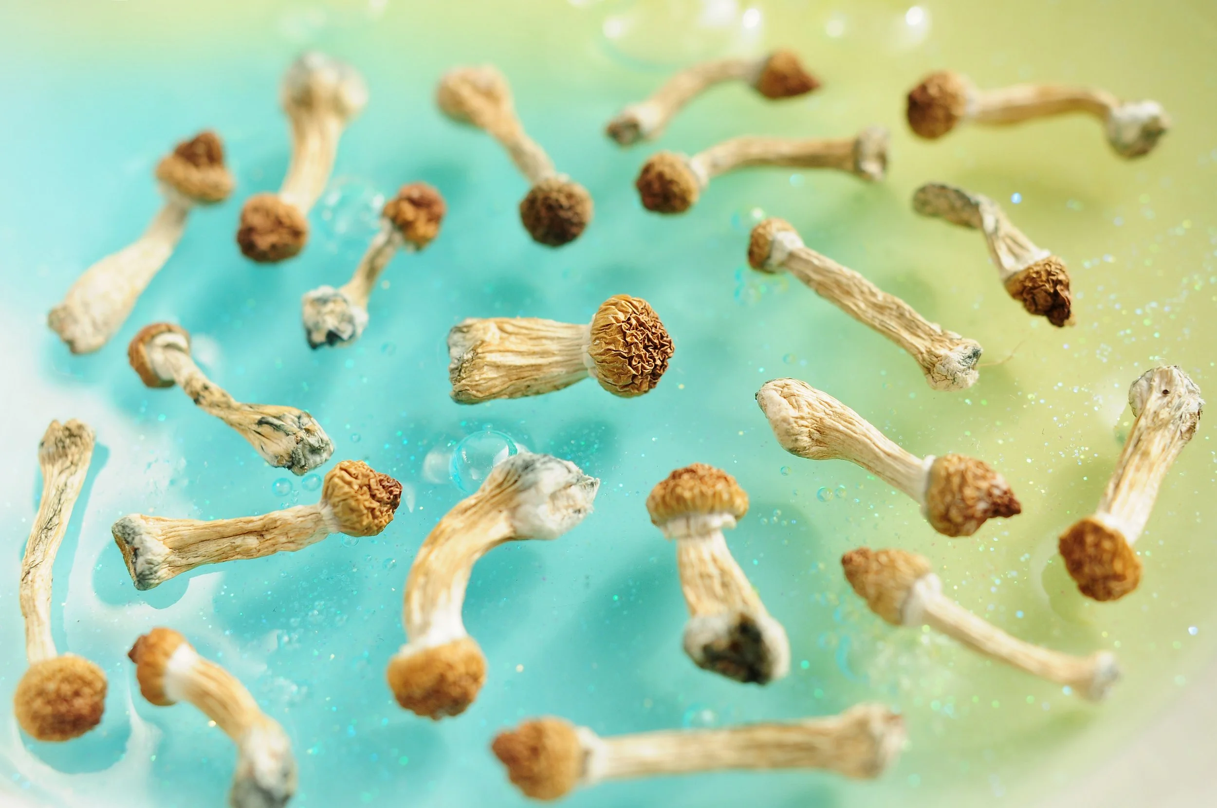 Psilocybin Benefits: What Science & Experience Reveal — Prism Bend