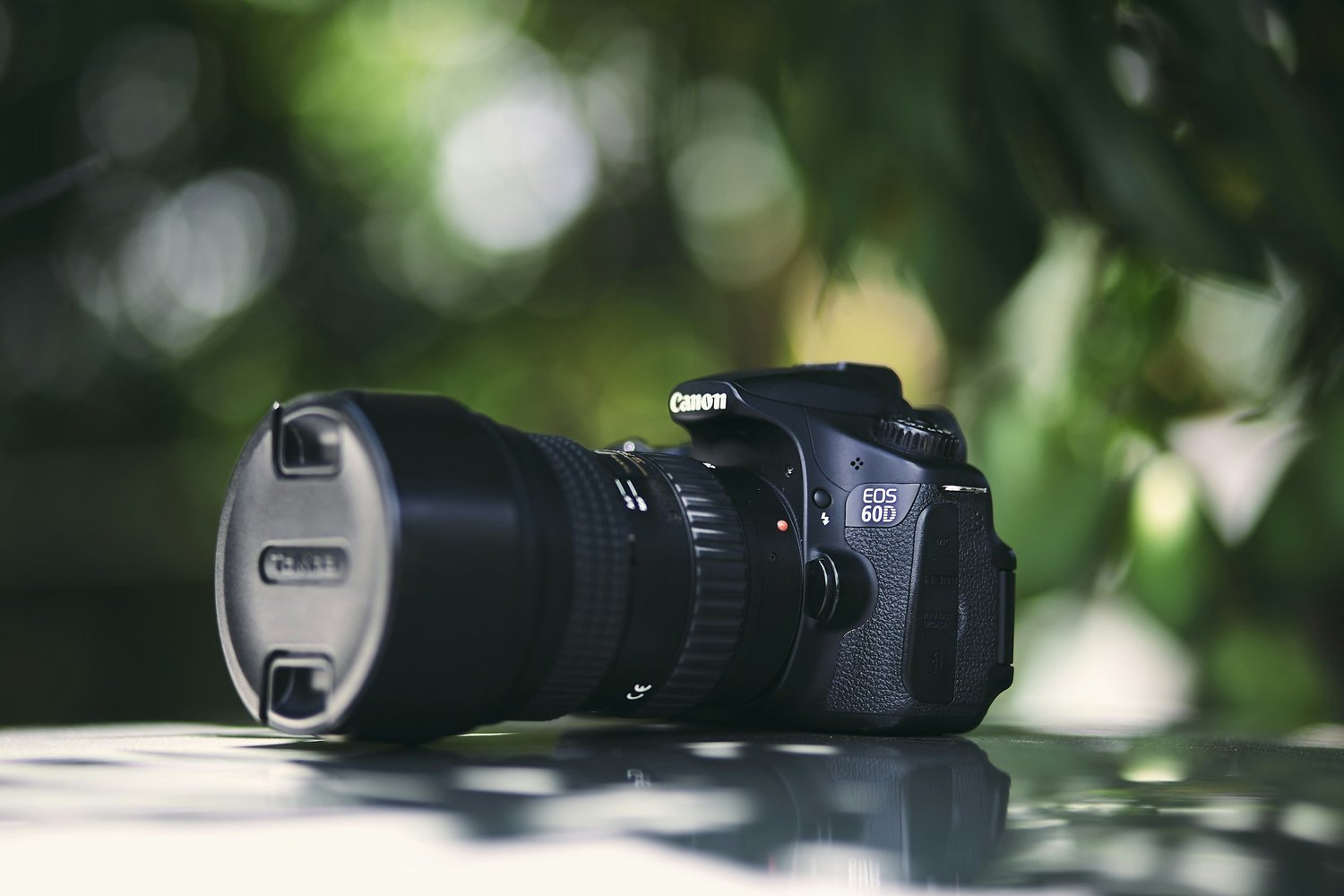 Film vs. Digital Photography: Pros and Cons for Modern Photographers ...