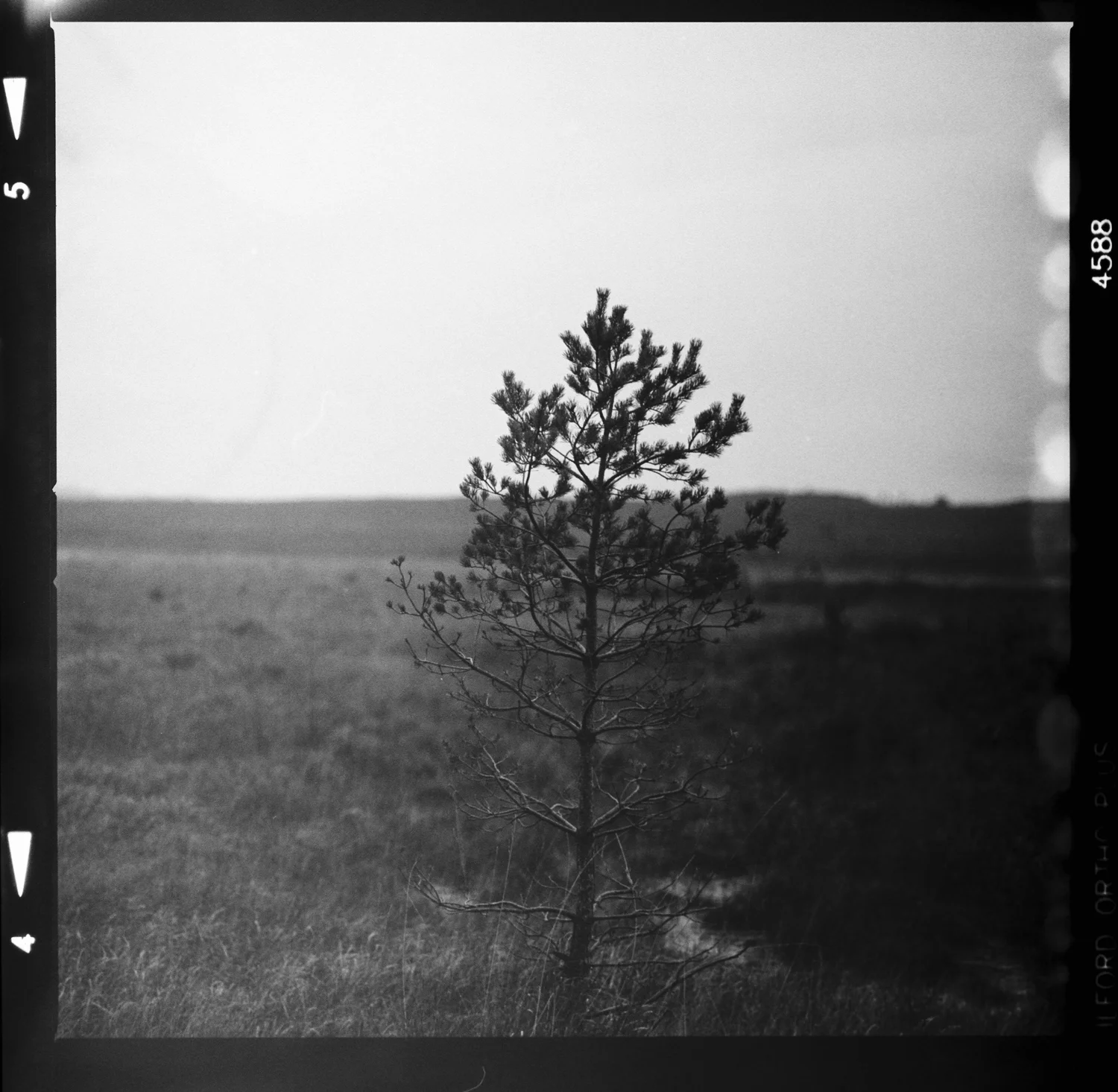 Film vs. Digital Photography: Pros and Cons for Modern Photographers ...