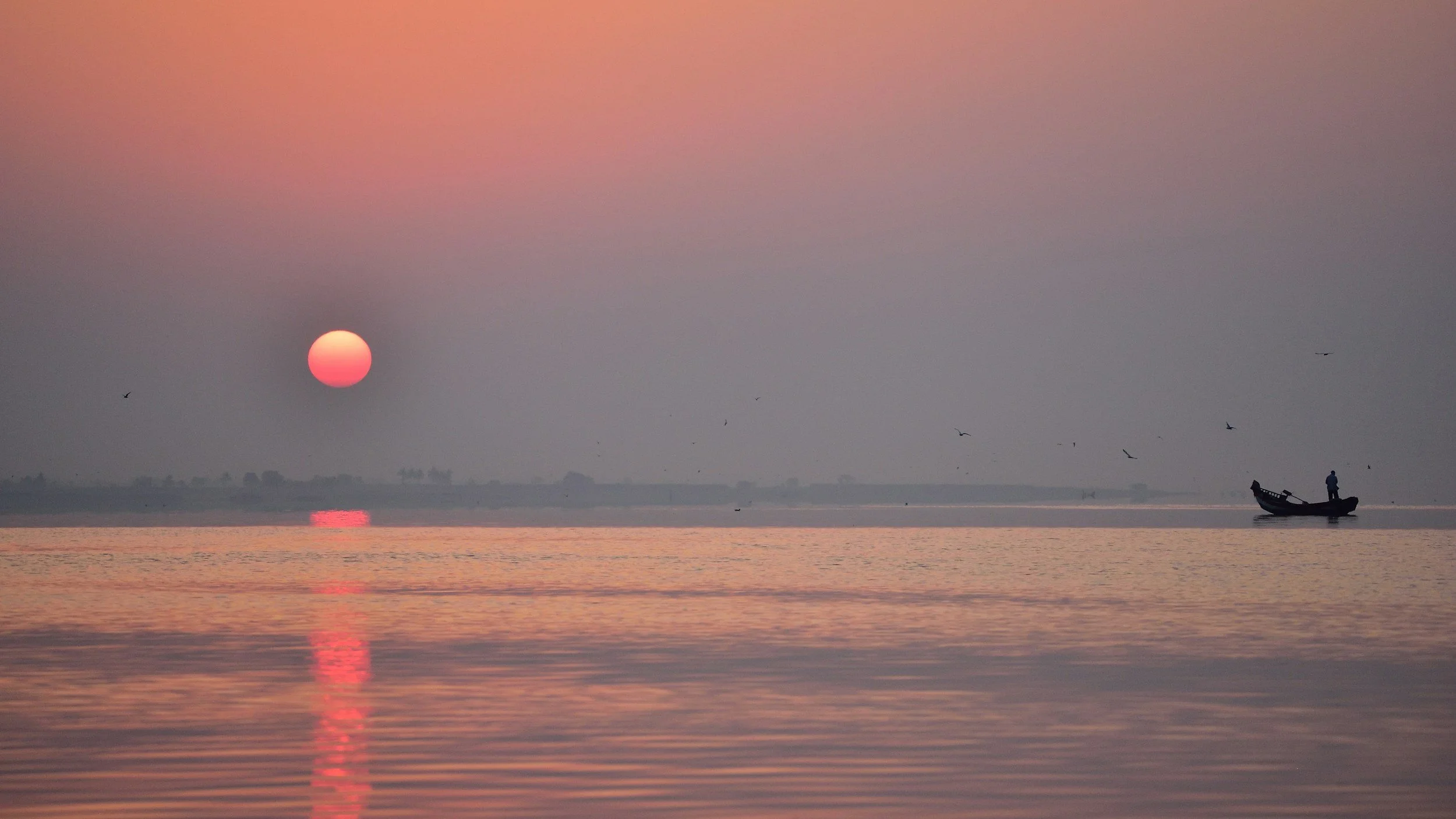 Hard Light vs. Soft Light in Photography: Understanding the Difference ...