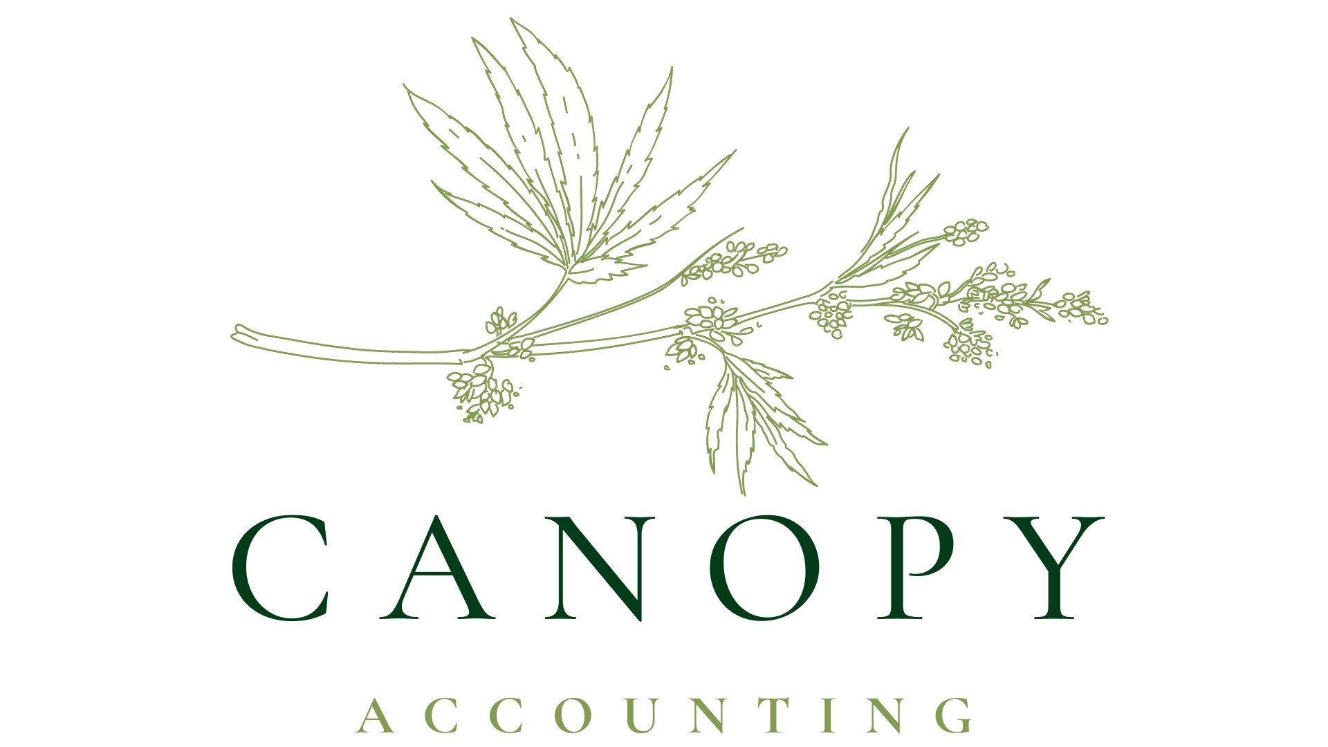 Canopy Accounting