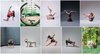 Dance photography poses: ideas and inspiration for dancers — Lumosco Photo