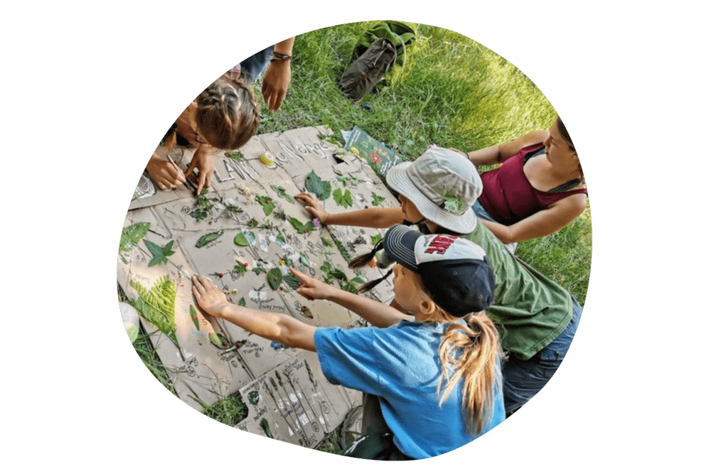 Year Long Programs — Thriving Roots