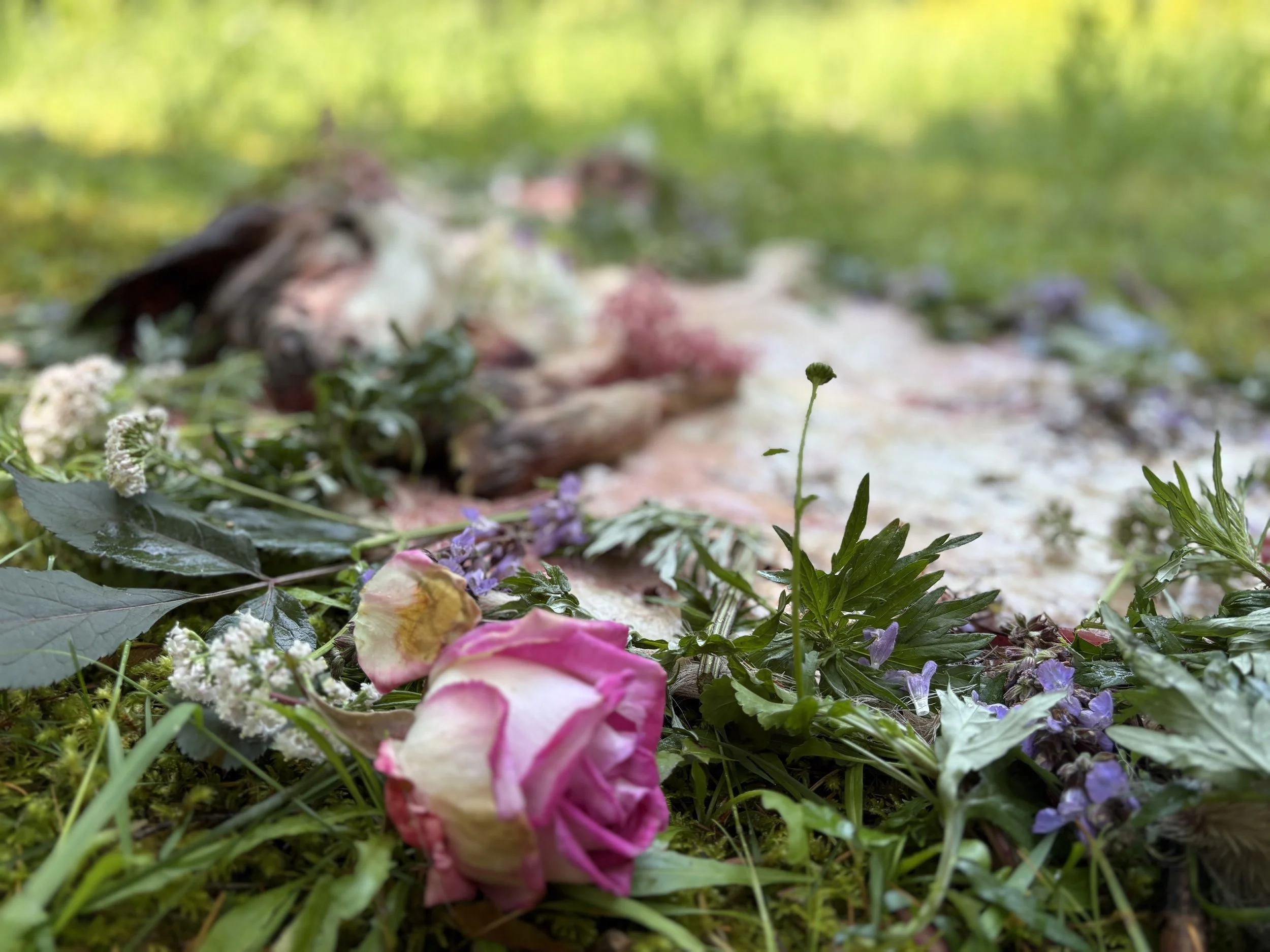 Animal Processing Workshop 2025 — Thriving Roots