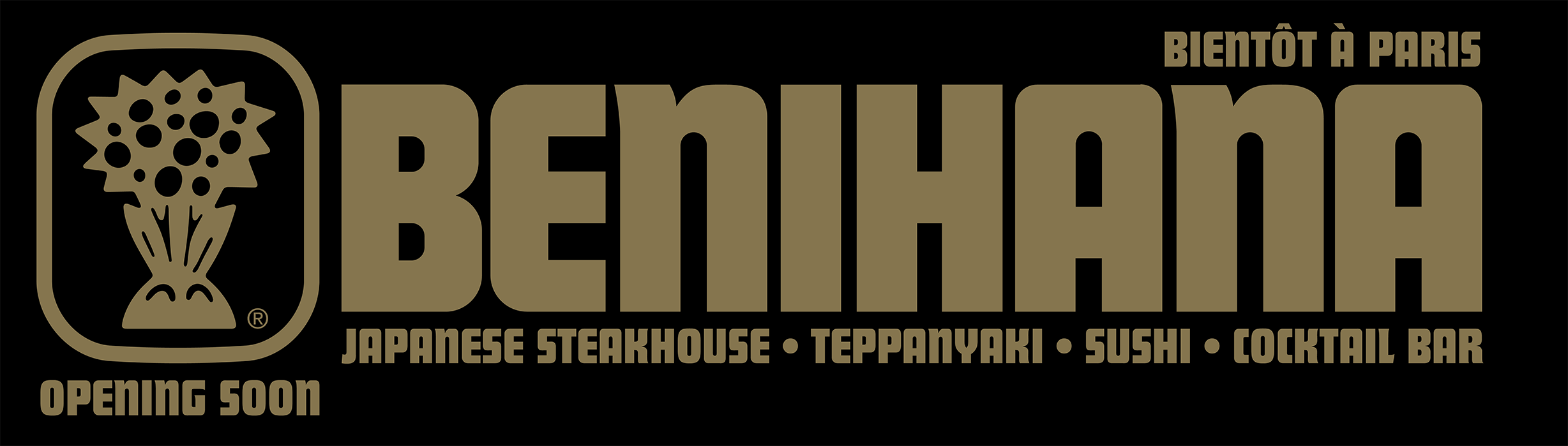 Benihana Paris