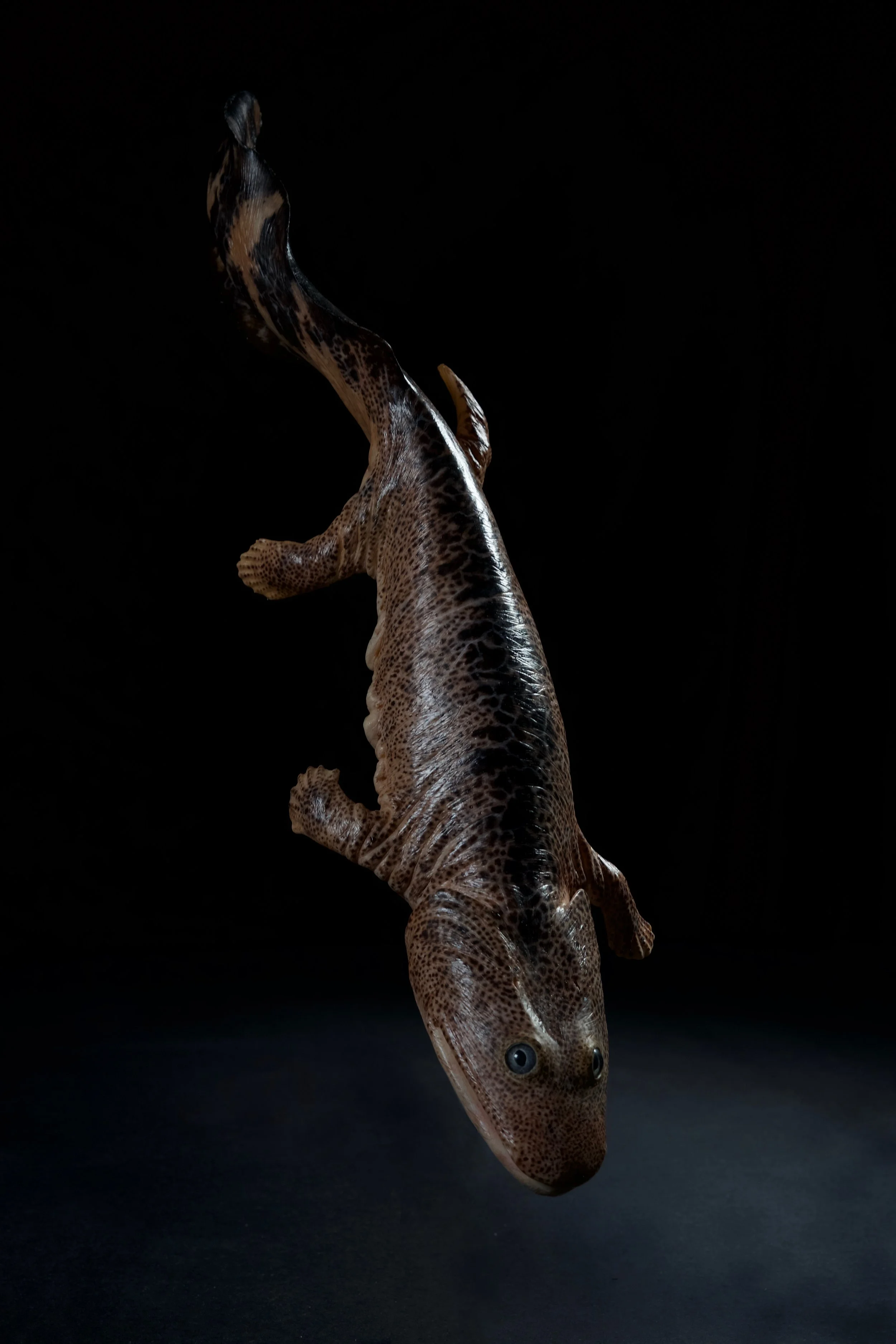 Acanthostega gunnari — 10 Tons