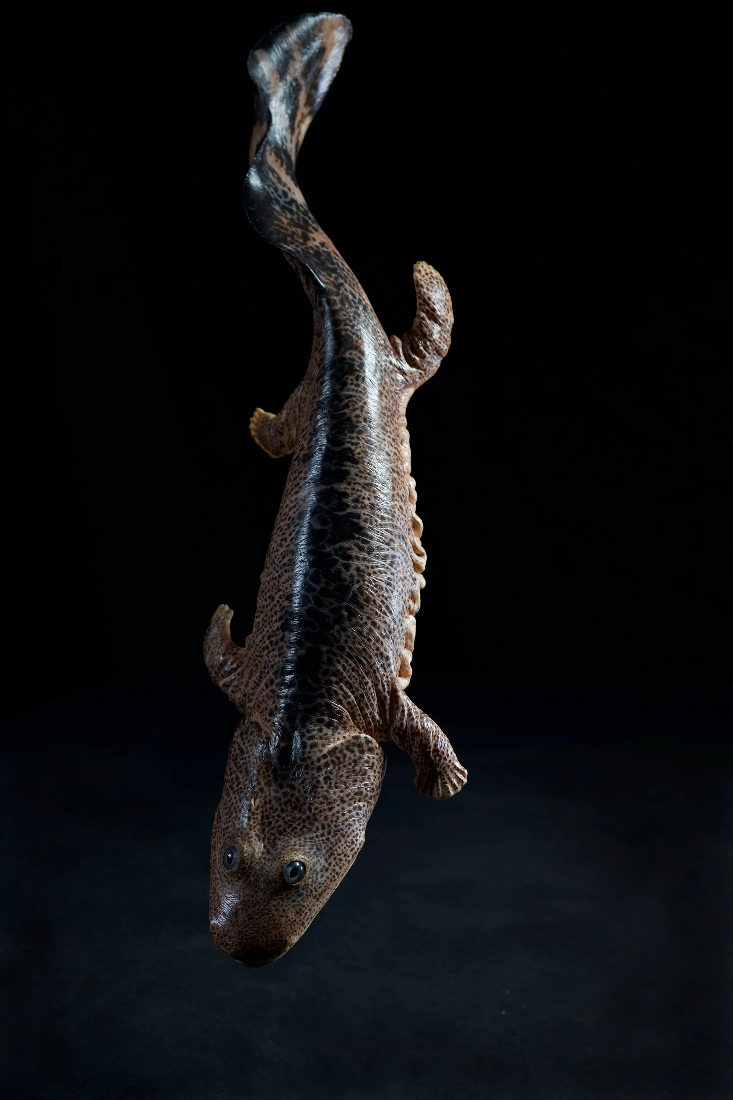 Acanthostega gunnari — 10 Tons