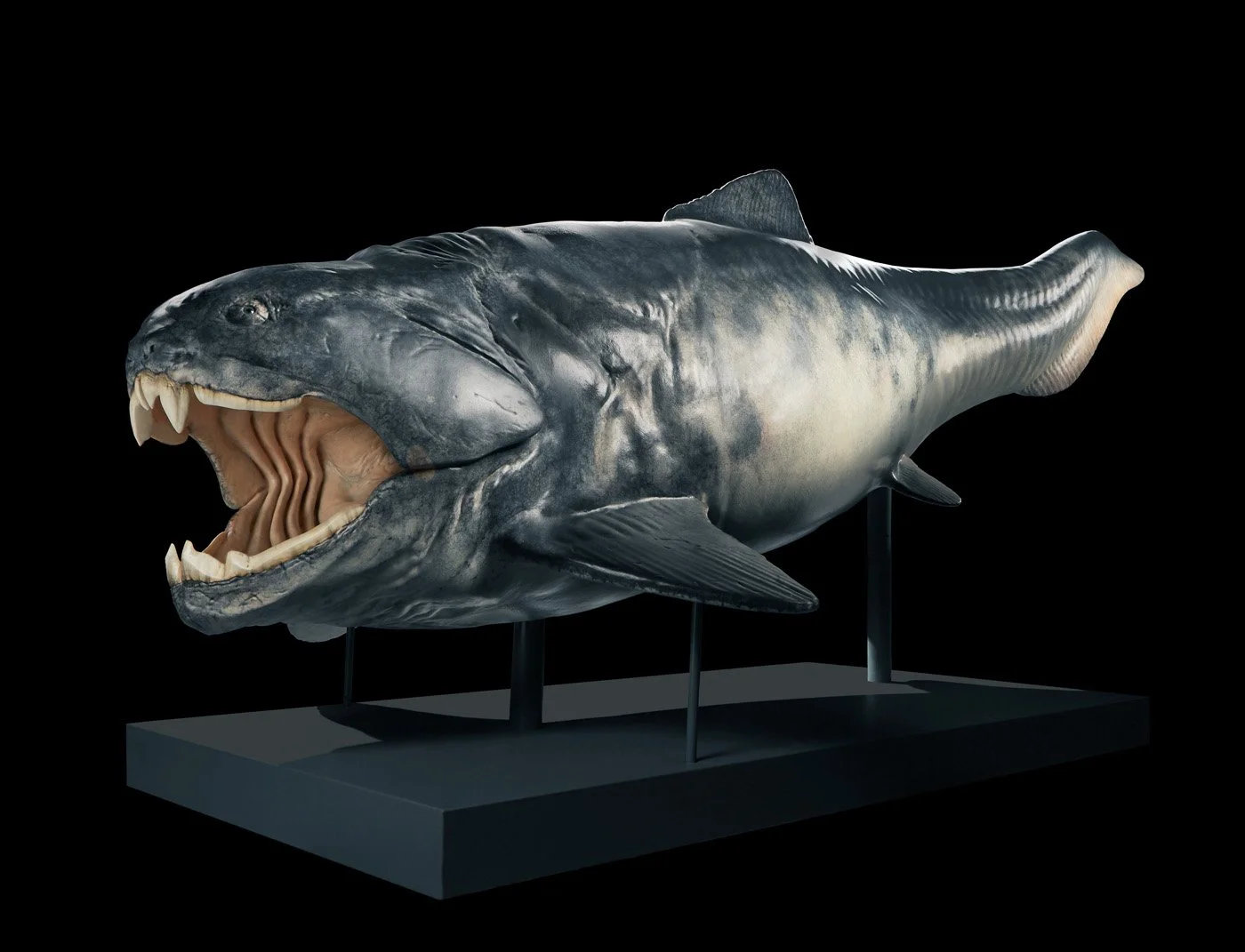 Dunkleosteus — 10 Tons