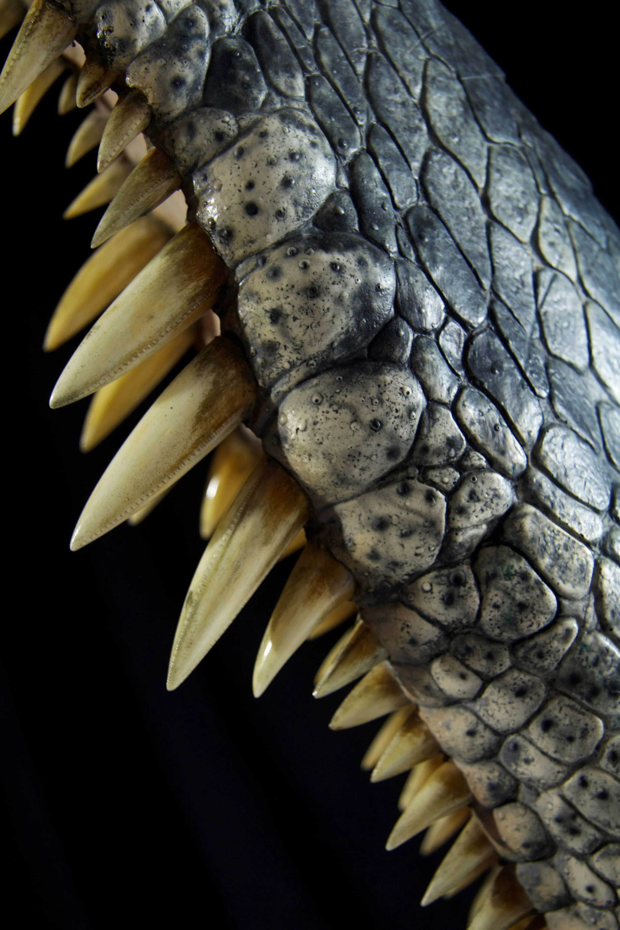Phytosaur — 10 Tons