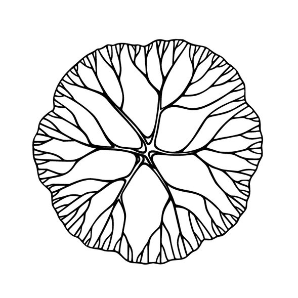 Gallery 1 — Gregson-Brown Design