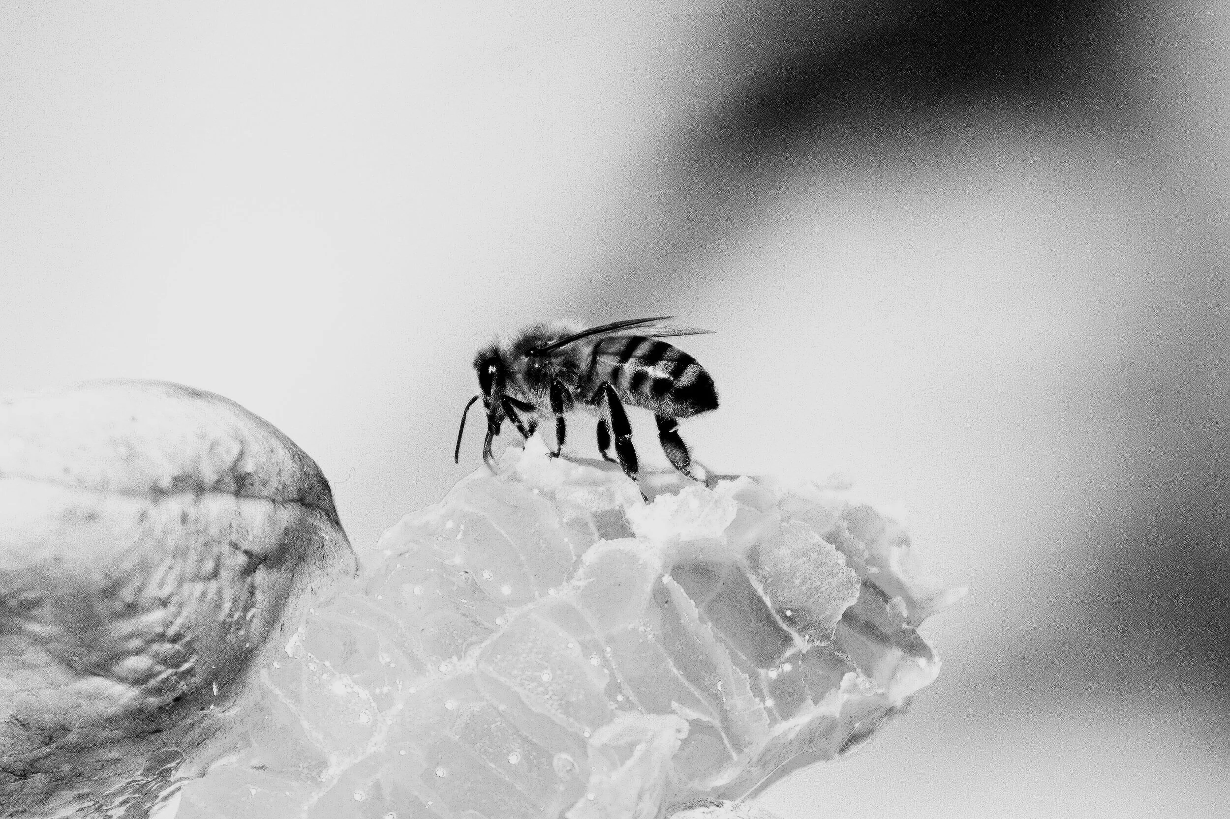 Contact Us — MBL PARTNERS