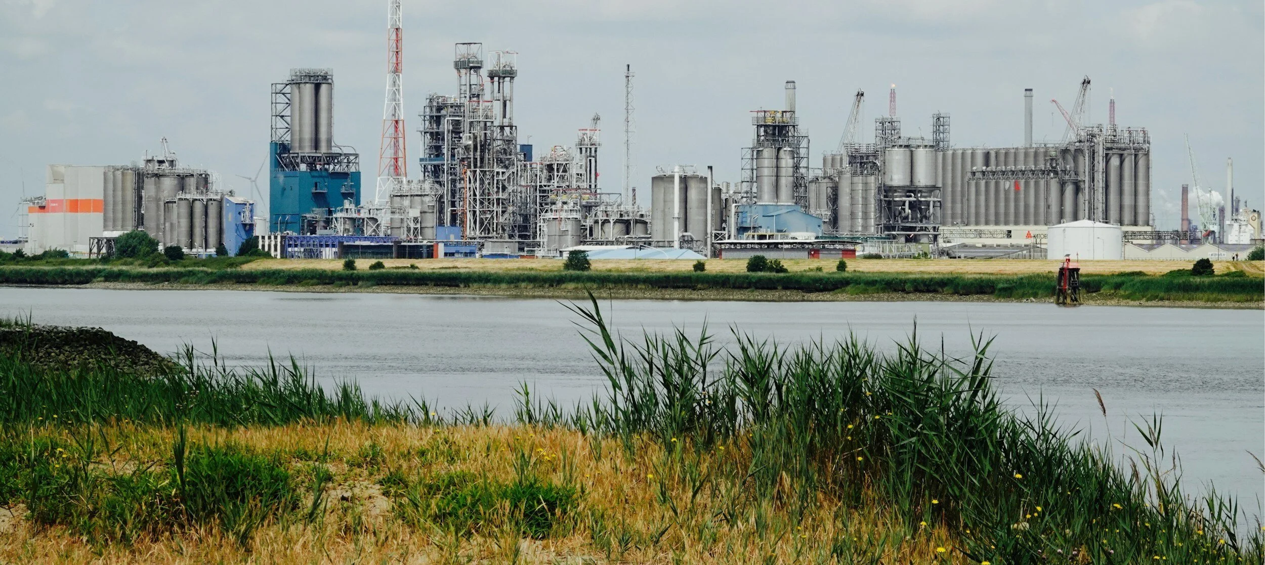 Canadian Power-to-X Partners | Explore Green Solutions