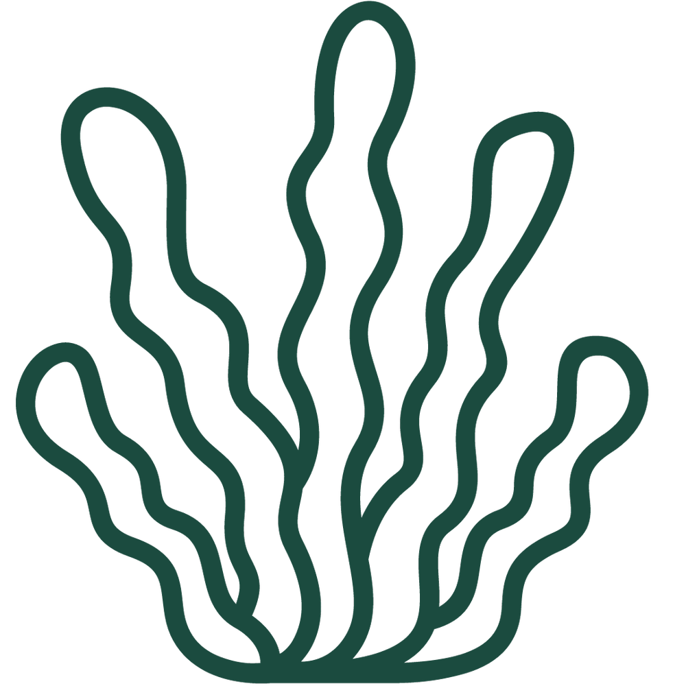 Shop the ALGAE INK ™ Collection — Living Ink Technologies