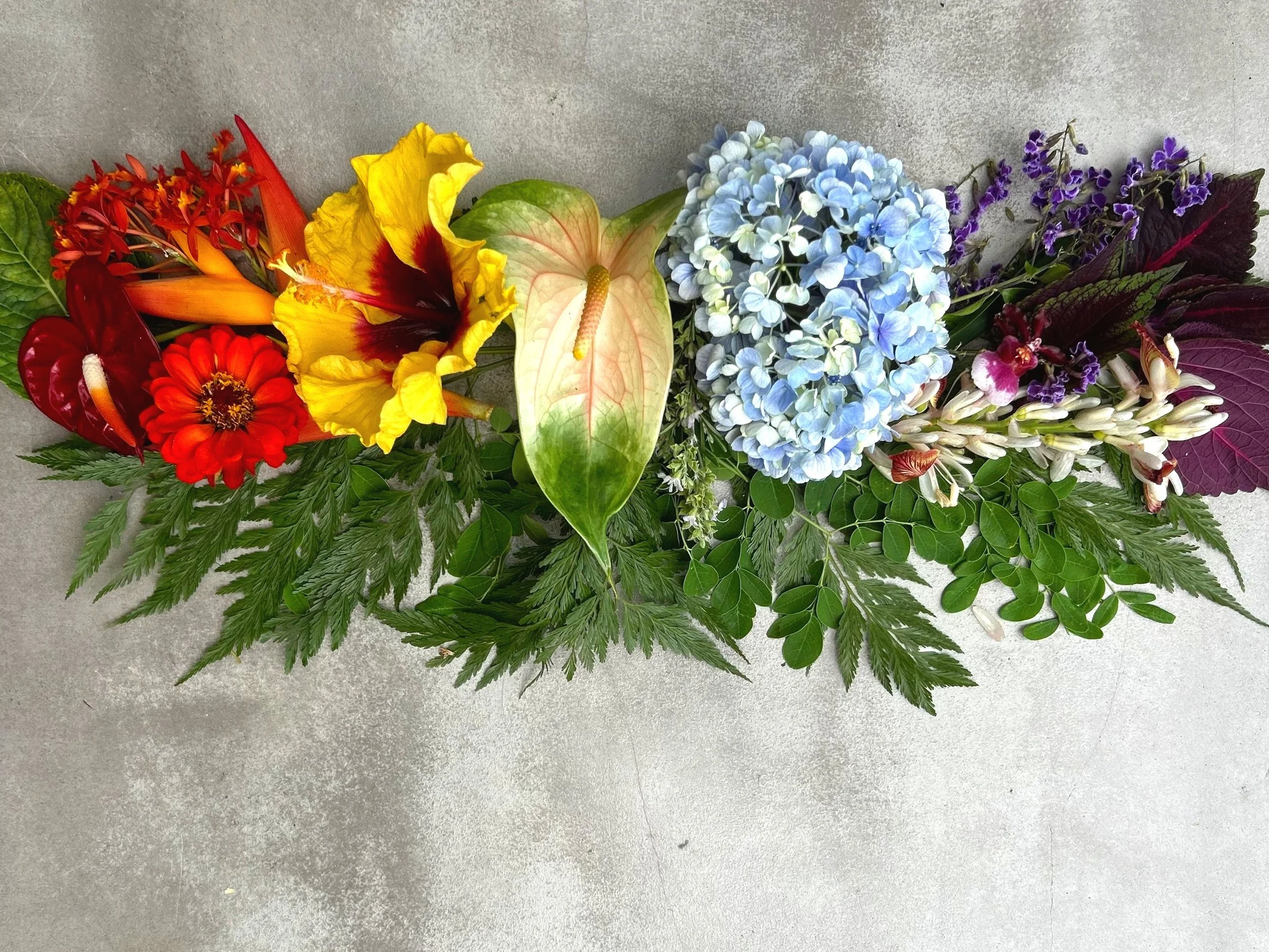 Inner Rainbow Healing | Chakra Balancing Life Coaching