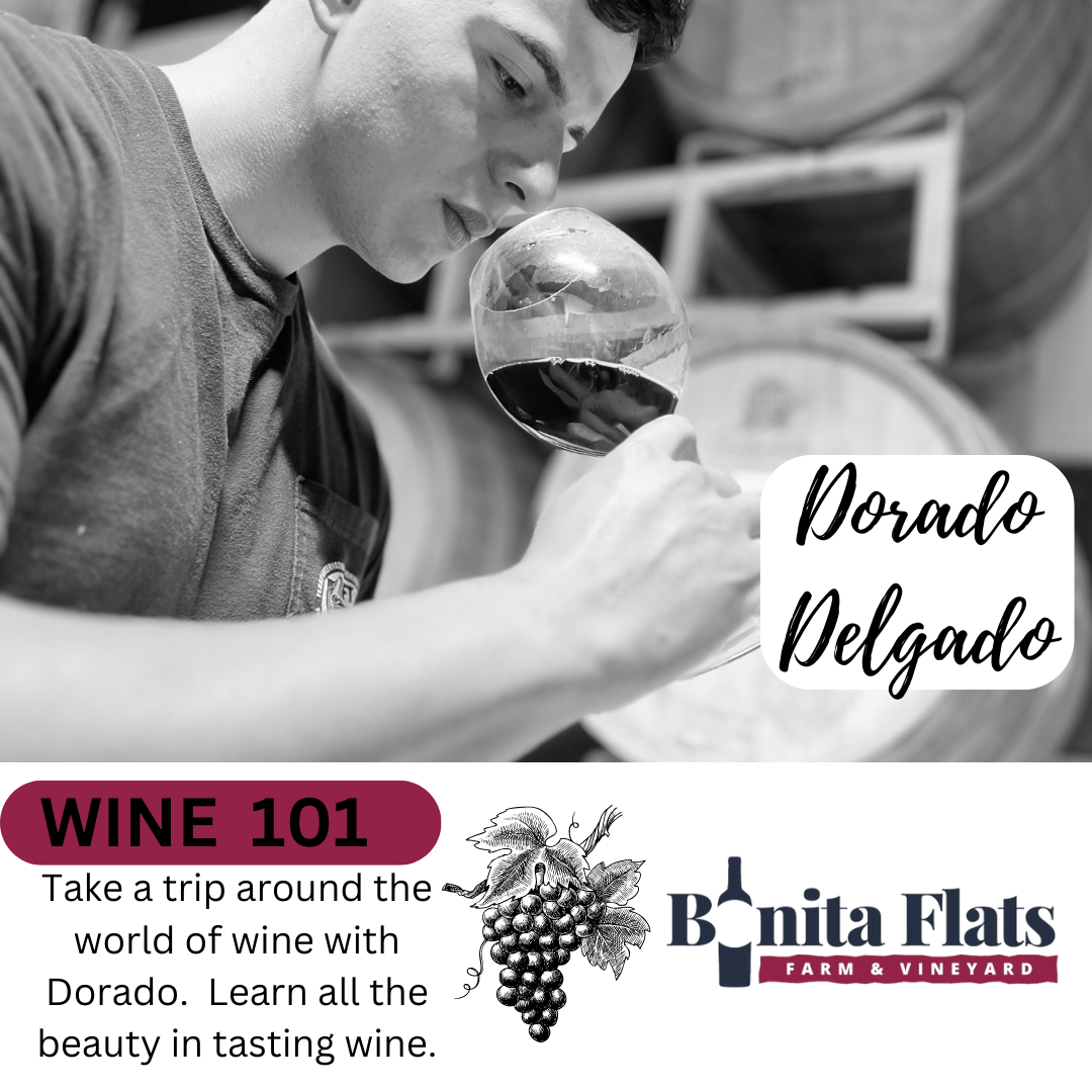 Wine 101 - enjoy the journey of wine — Bonita Flats Farm and Vineyard