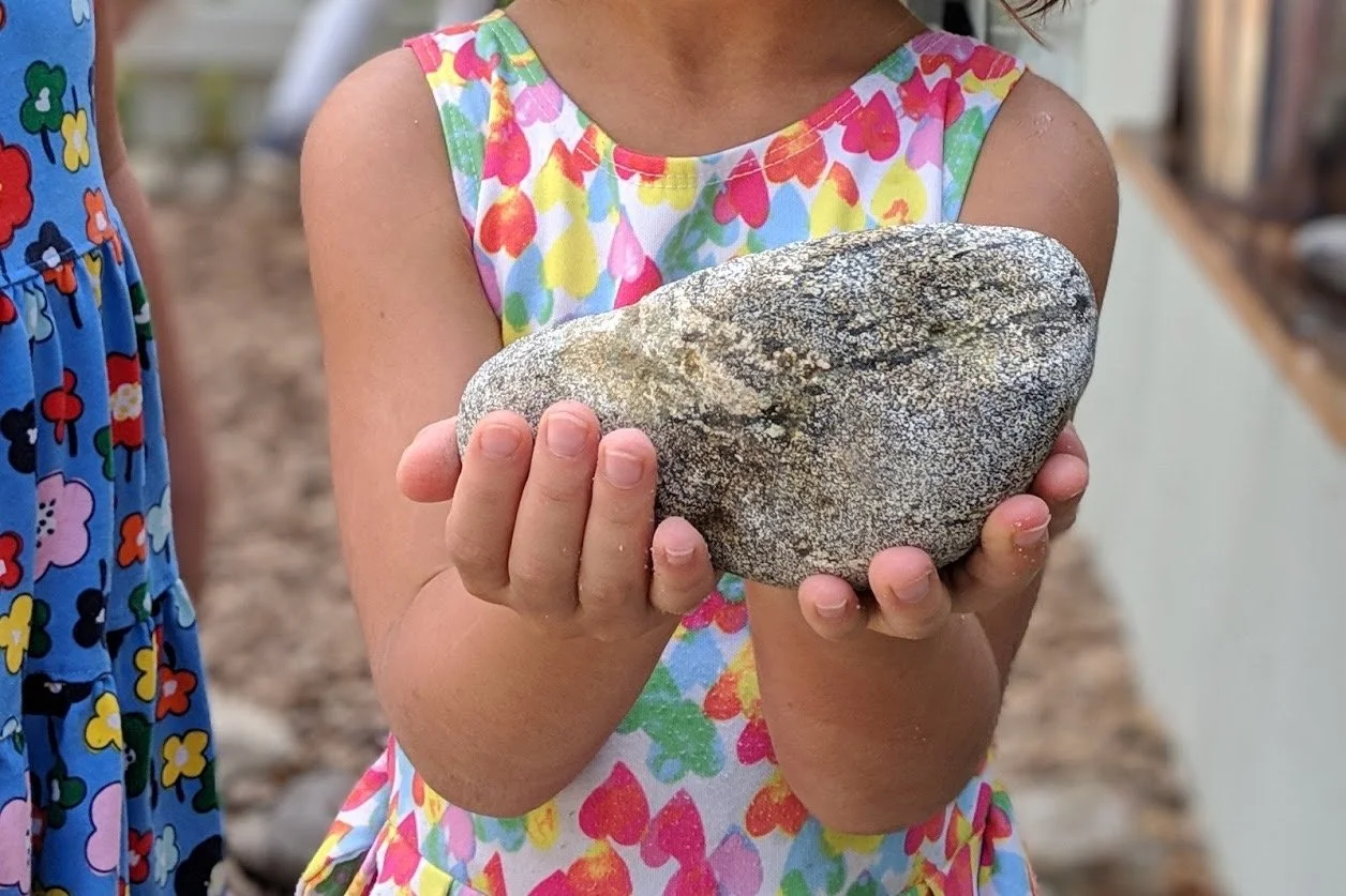 Tree of Life Preschool