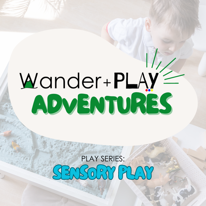 Our Programs — Home