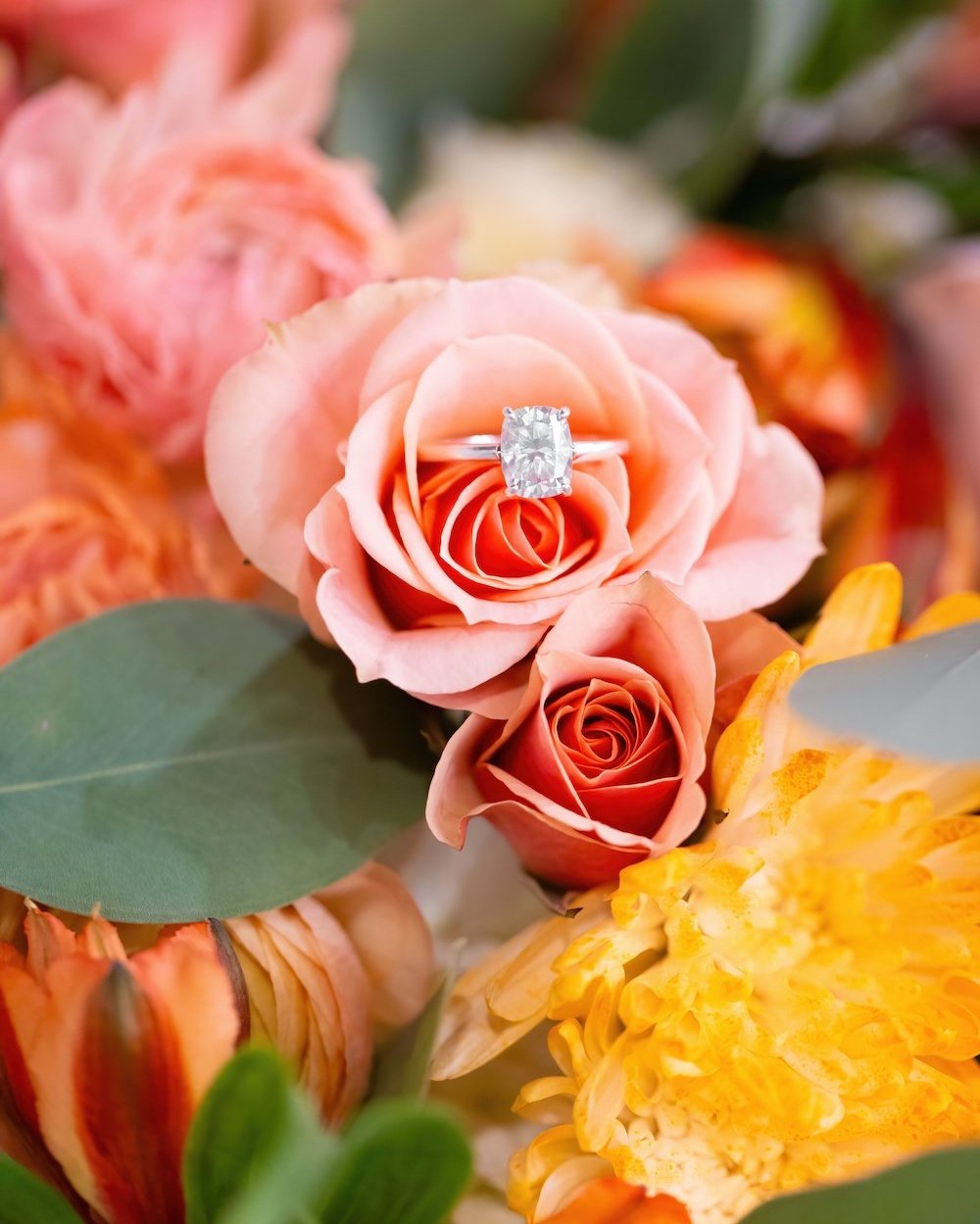 Gallery — Somos Family Weddings & Events